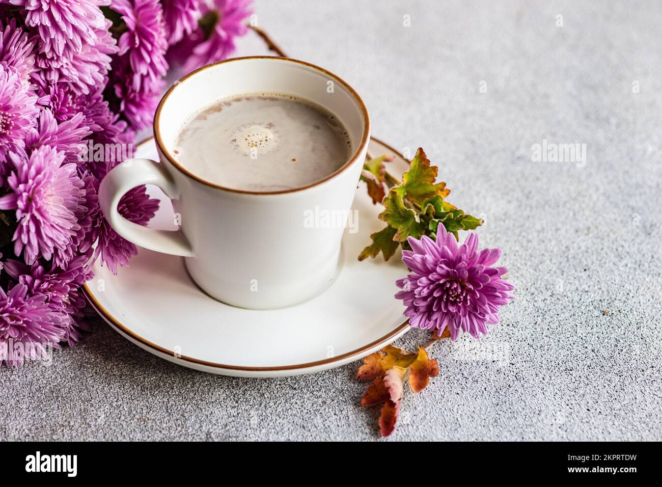 Close-up of a cup with coffee with milk and purple chrysanthemum ...