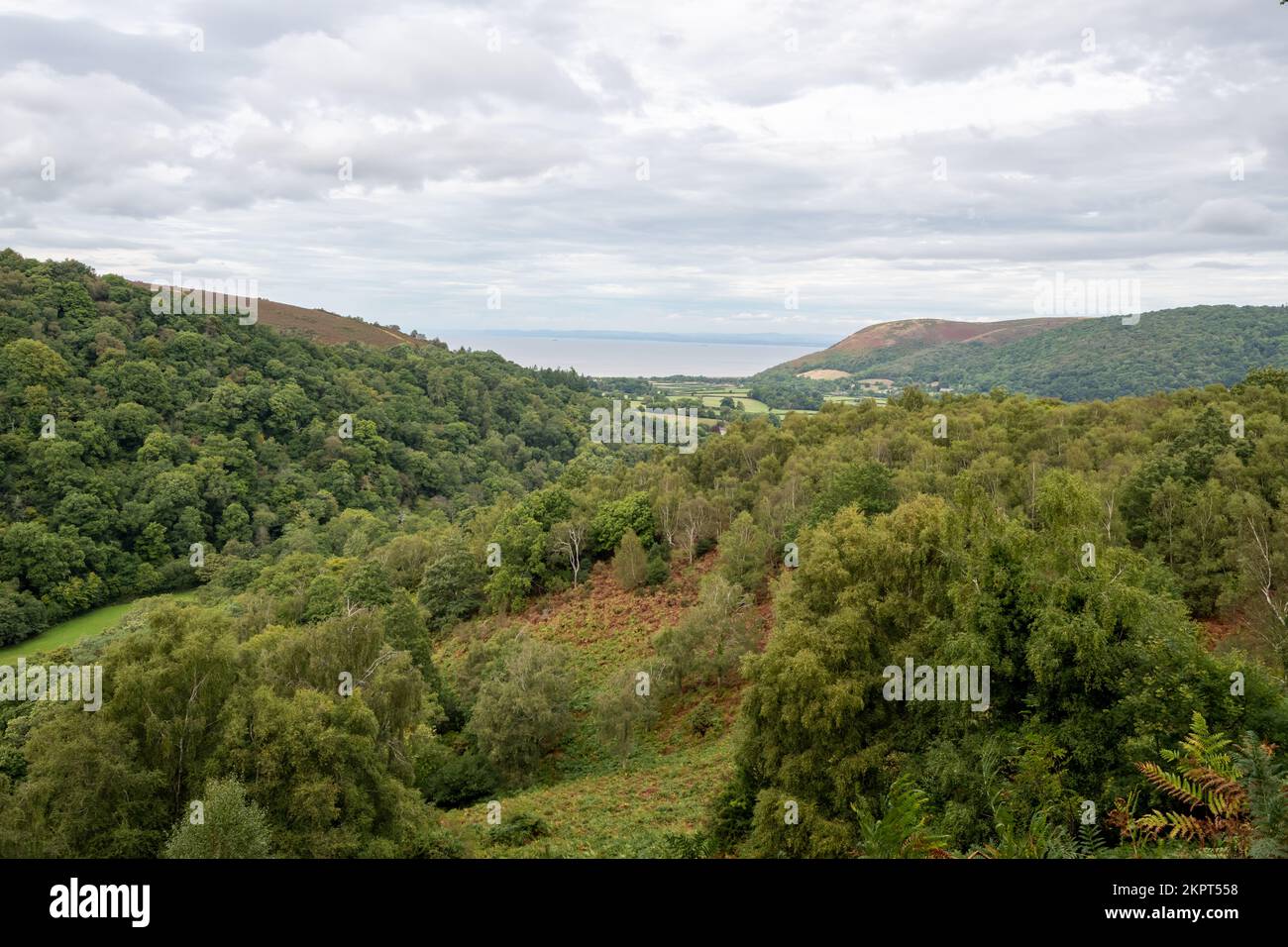 Landscape photo of Horner woods in Exmoor National Park Stock Photo - Alamy