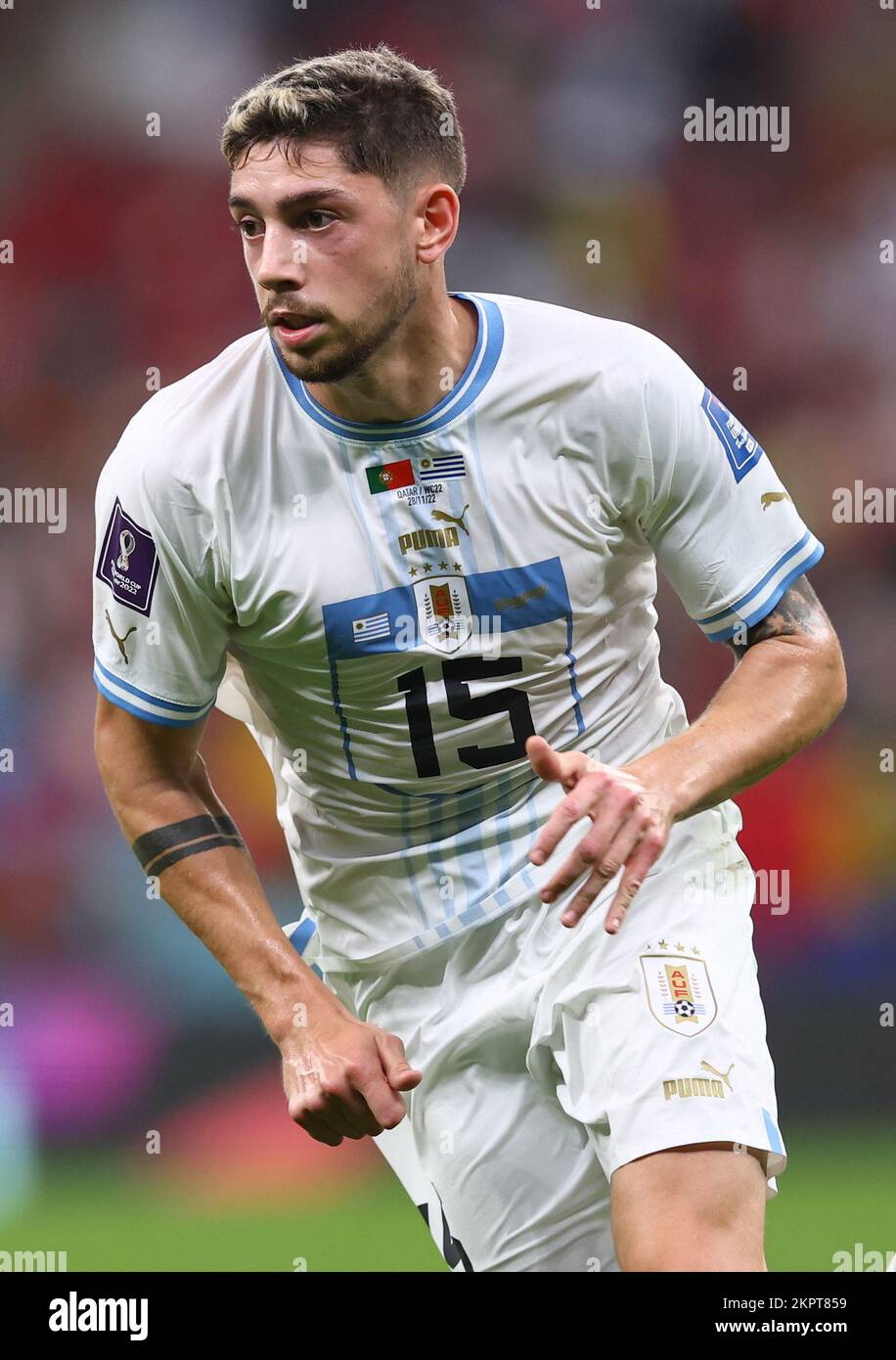 Doha, Qatar. 28th Nov, 2022. Federico Valverde of Uruguay during the FIFA World Cup 2022 match ...