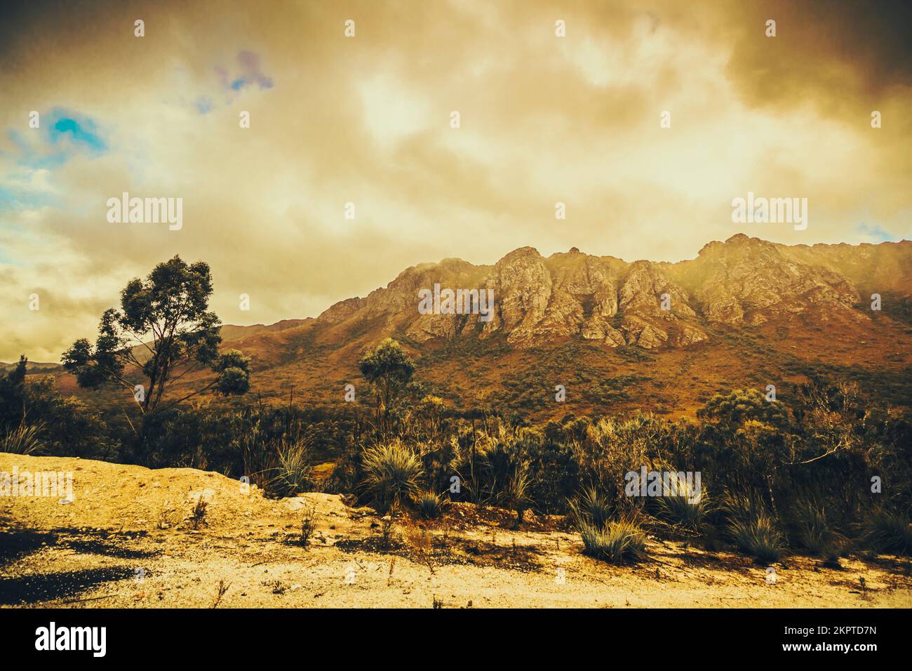 Bush landscape beauty in a rugged scene on the mountainous Sentinel ...