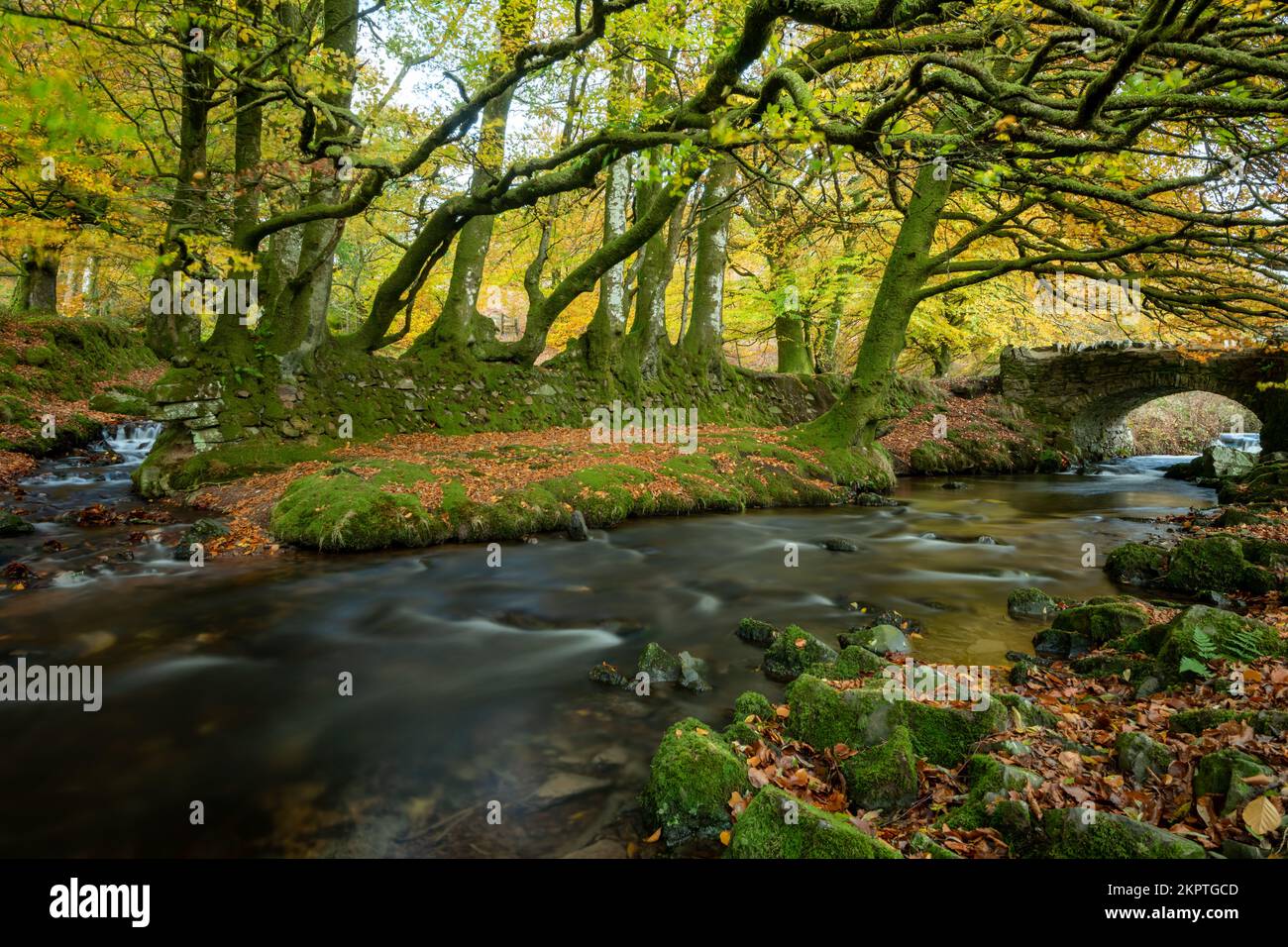 The Weir Water river flowing under Robbers Bridge in Exmoor National ...