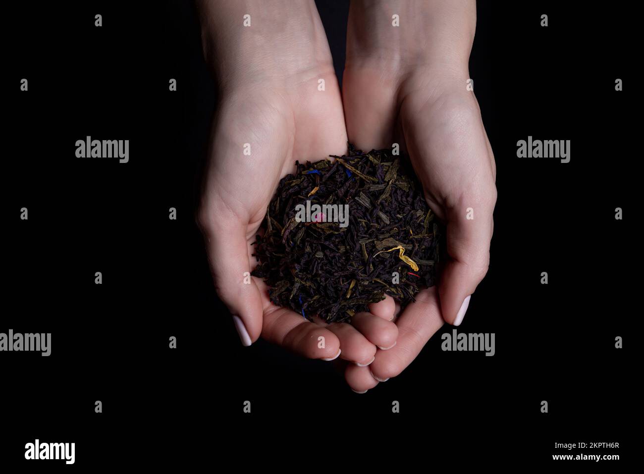 Beautiful female hands hold raw unbrewed tea and offer to try it. Dry ...