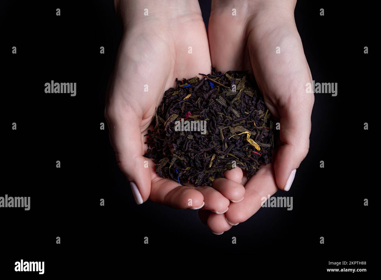 Beautiful female hands hold raw unbrewed tea and offer to try it. Dry ...