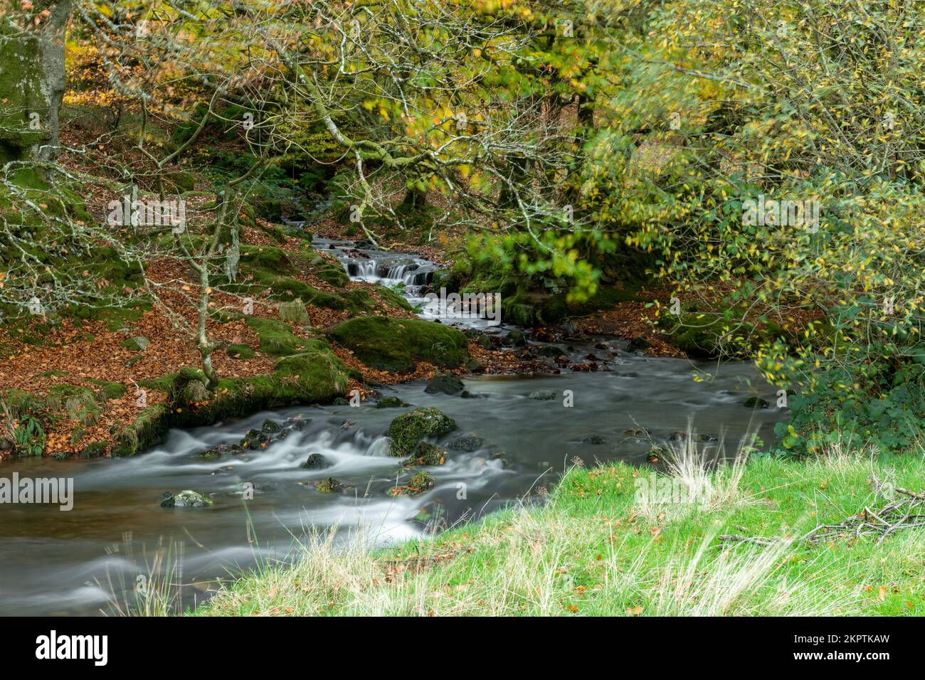 Long exposure of the Weir Water river flowing downstream of Robbers ...
