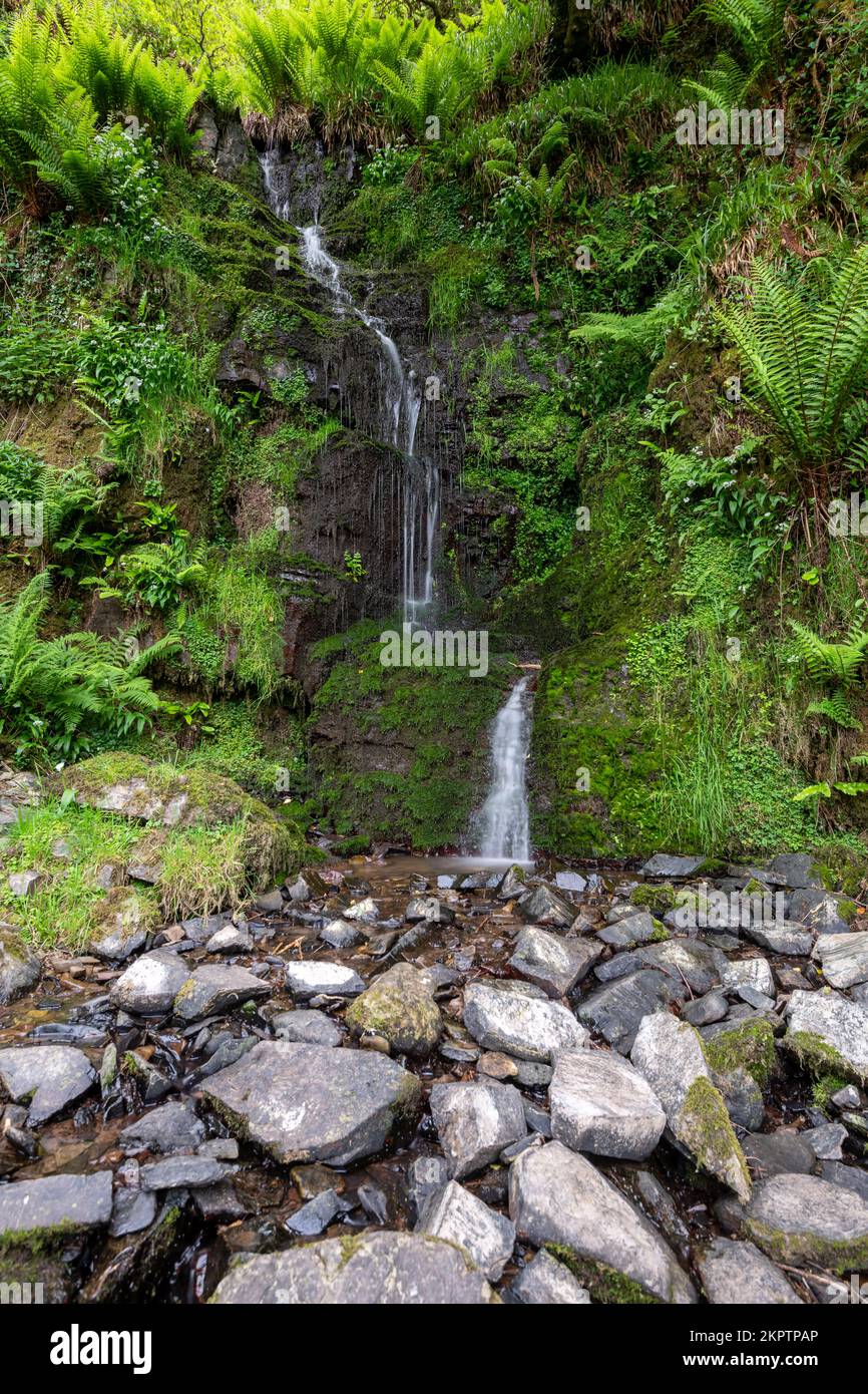 Long exposure of the Hollowbrook waterfall on the South West Coastpath ...