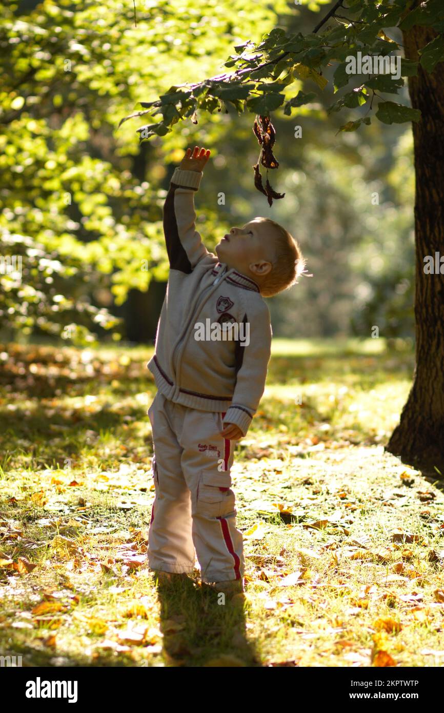 Child discovering the world hi-res stock photography and images - Alamy