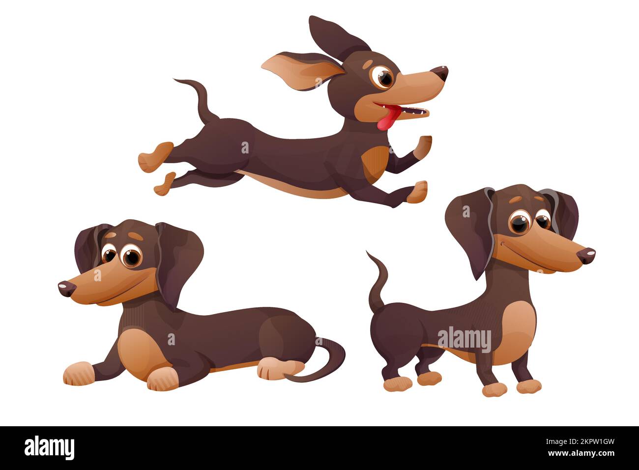 Set cute dachshund puppy, jumping, lying and standing and smiling in ...