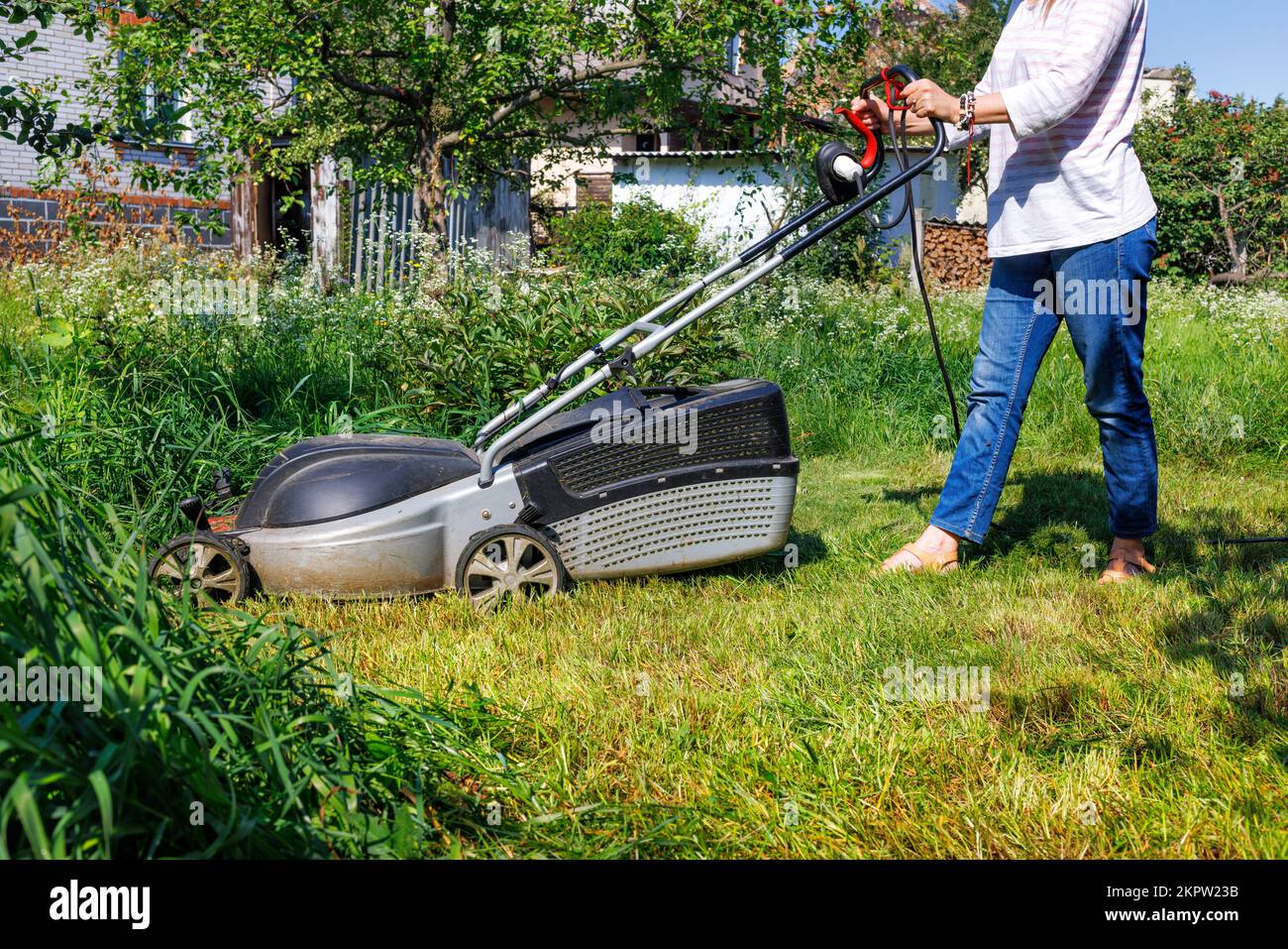 Woman gardener cuts tall green grass in the garden. A gardener mows ...