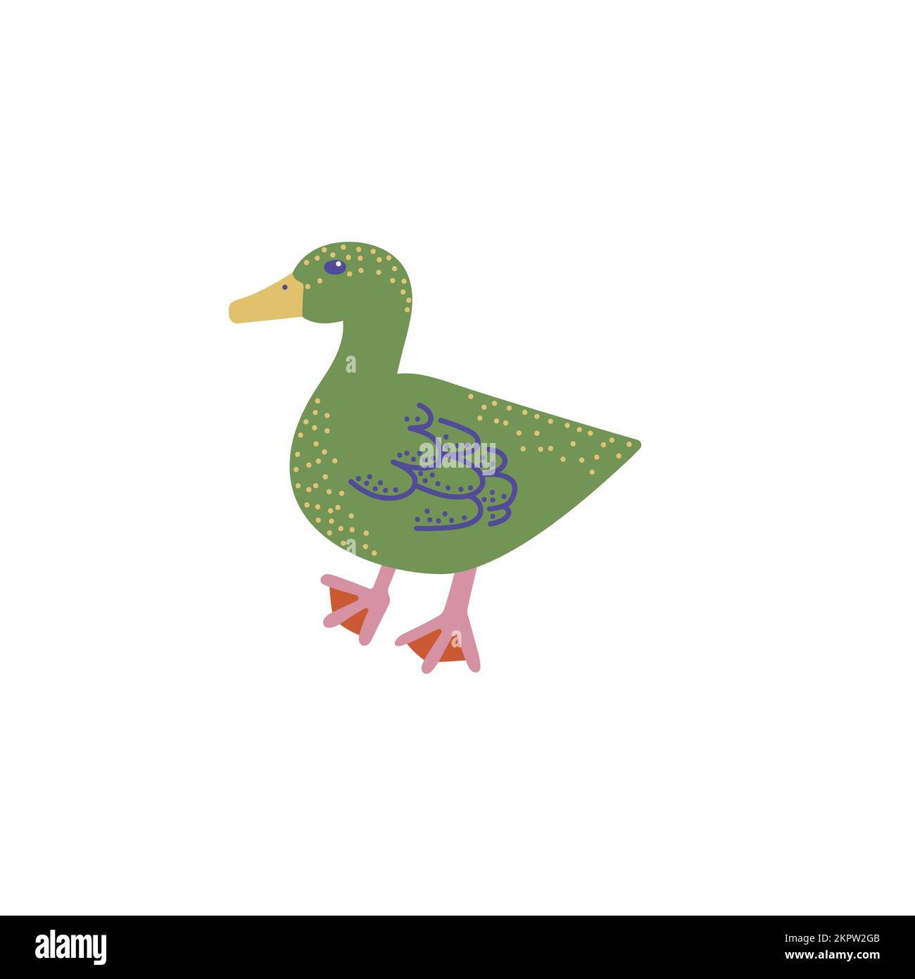Mallard duck walk Stock Vector Images - Alamy
