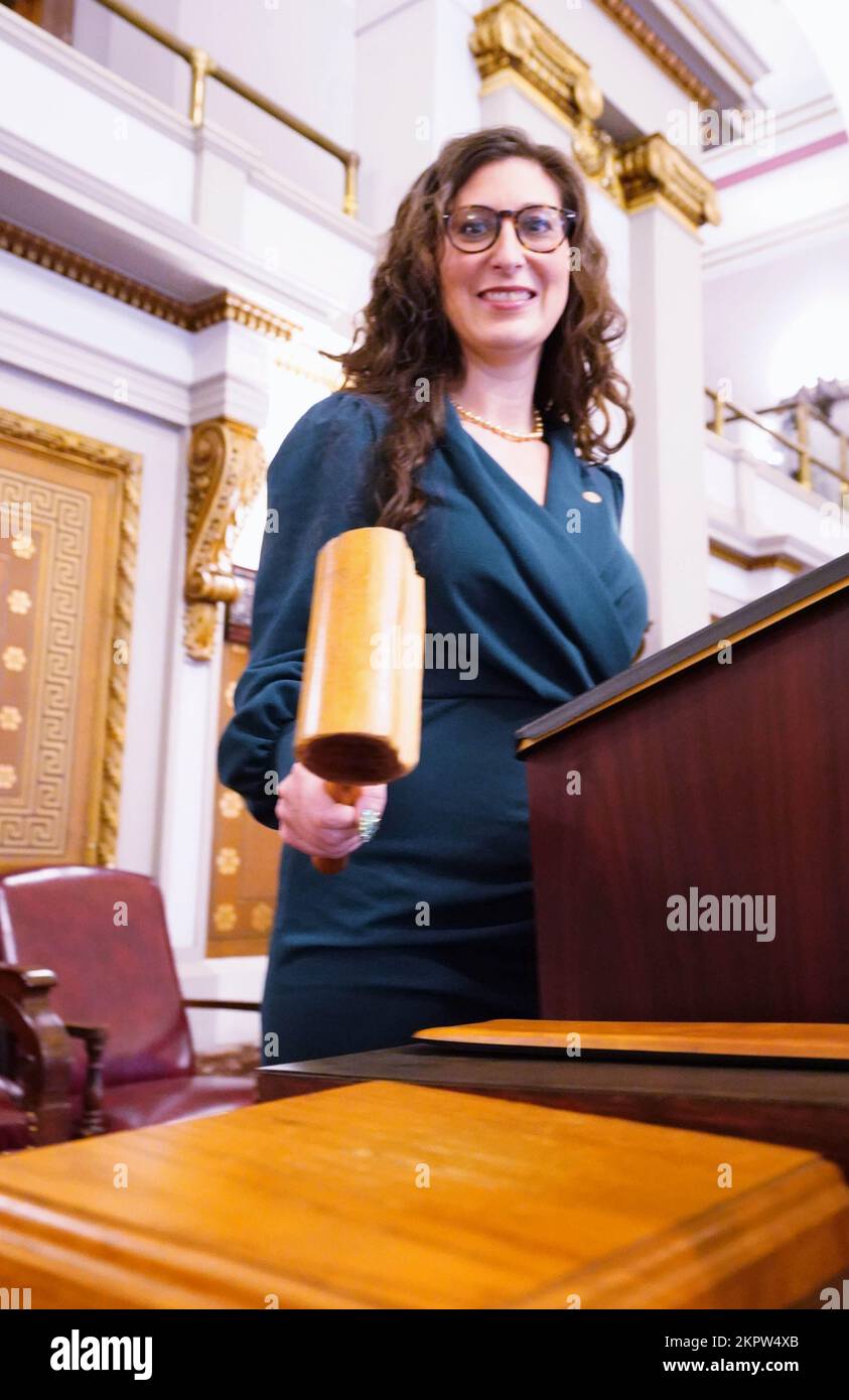 St. Louis, United States. 28th Nov, 2022. Megan Green, newly ...