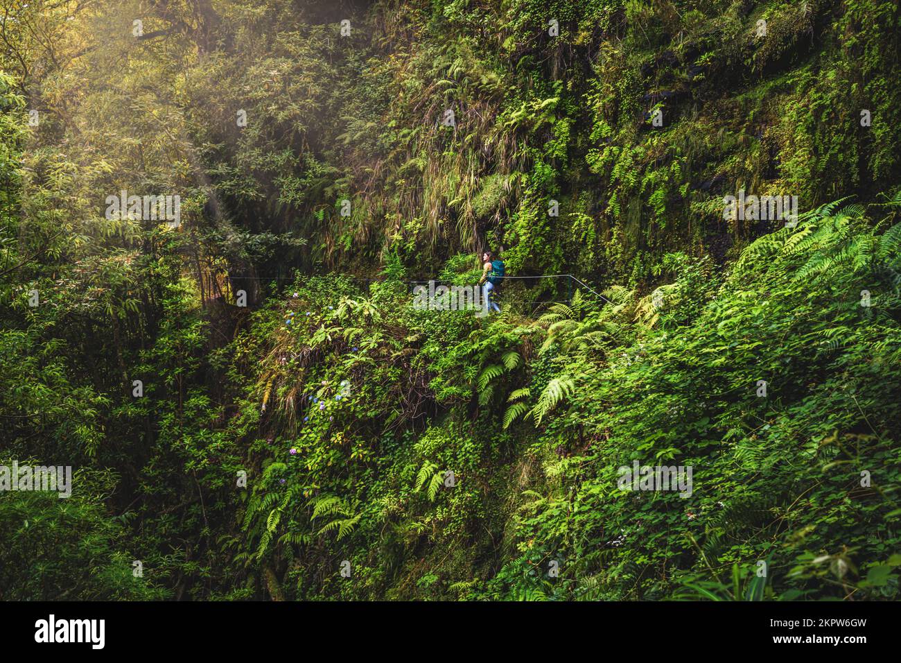 Description: Athletic woman with backpack walks at adventurous green ...