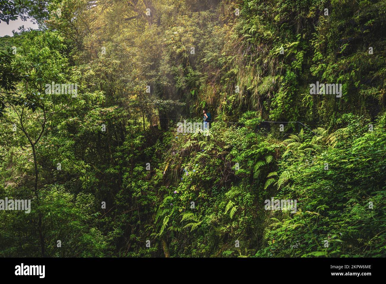 Description: Athletic woman with backpack walks at adventurous green ...