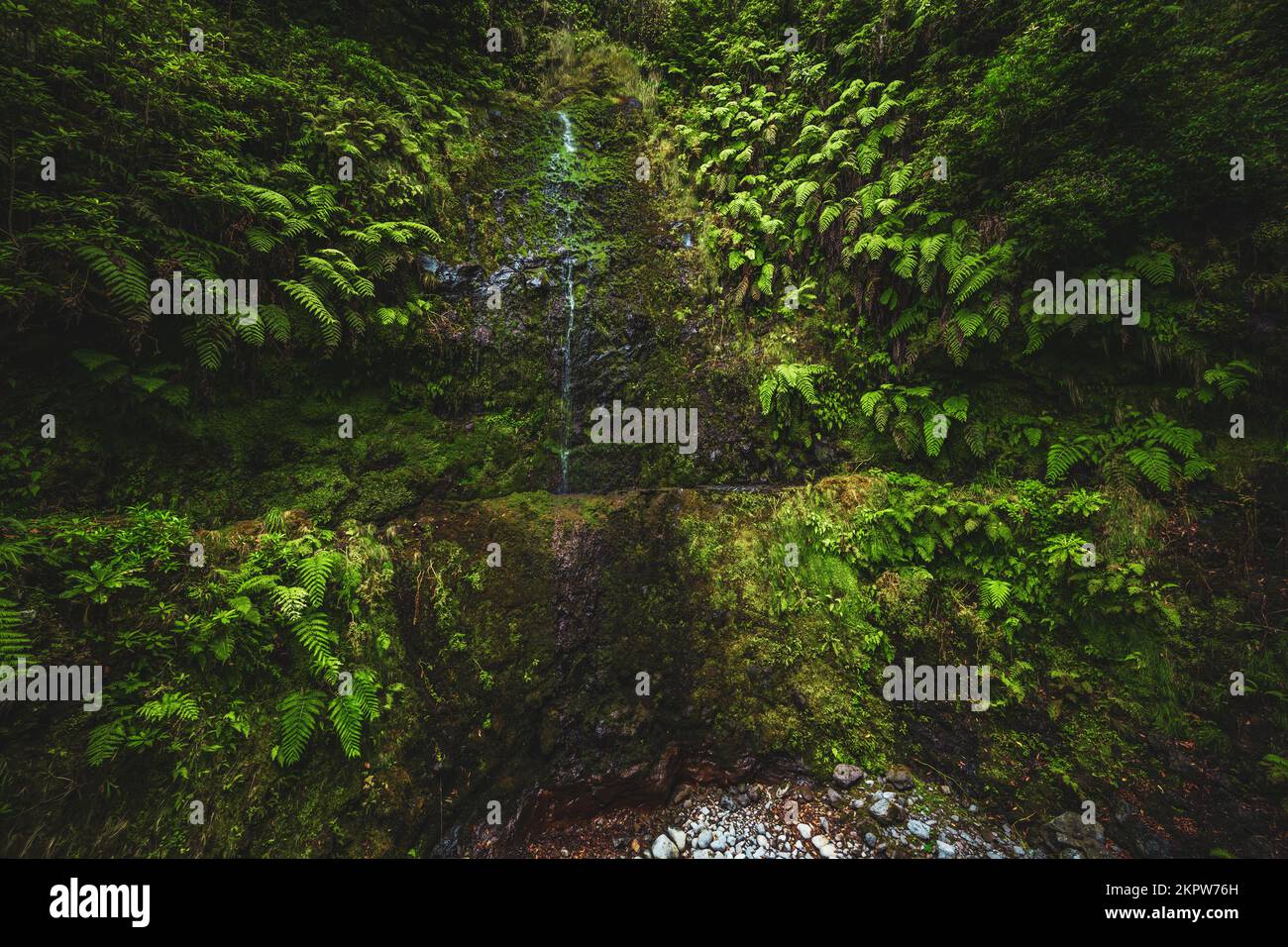 Description: Amazing living green wall with beautiful waterfall at the ...