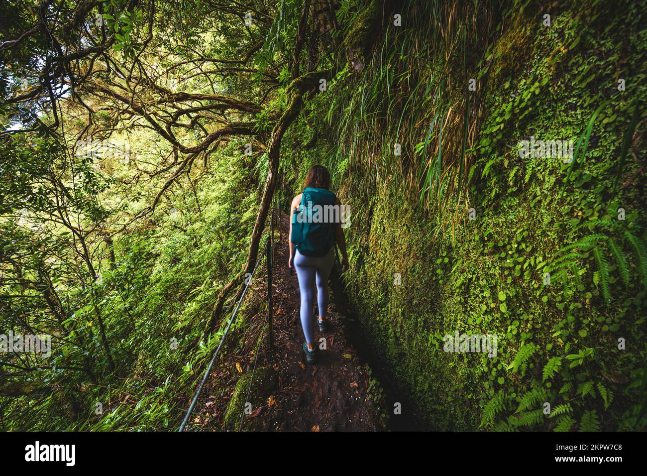 Description: Athletic woman with backpack walks at adventurous green ...