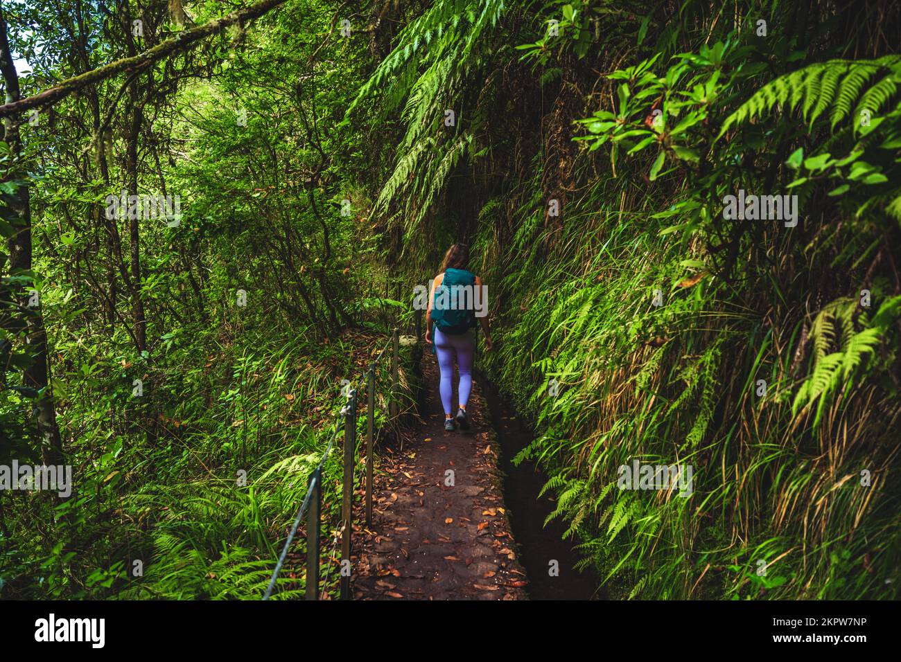 Description: Athletic woman with backpack walks at adventurous green ...