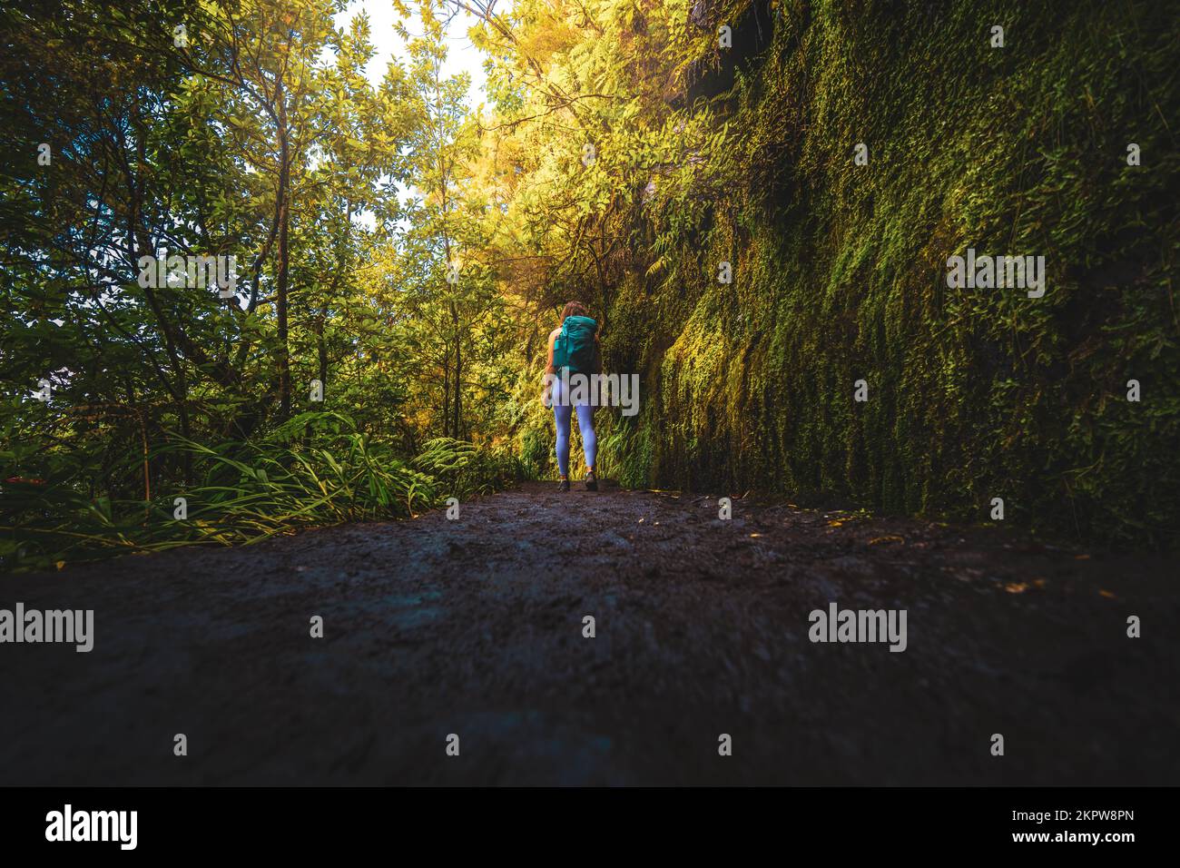 Description: Athletic woman with backpack walks at adventurous green ...