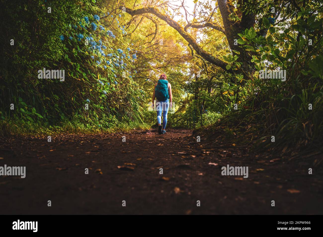 Description: Athletic woman with backpack walks at adventurous green ...