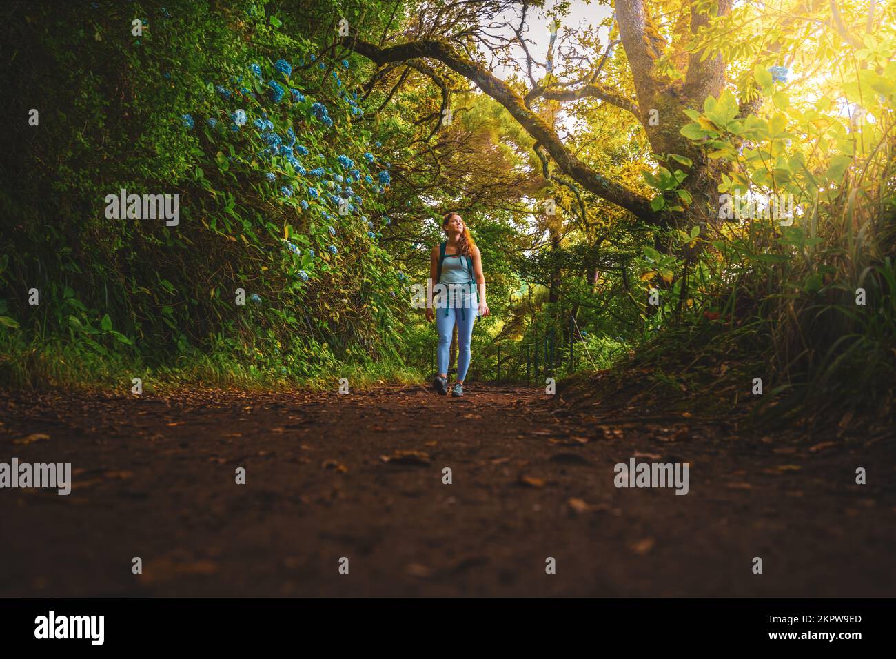 Description: Athletic woman with backpack walks at adventurous green ...