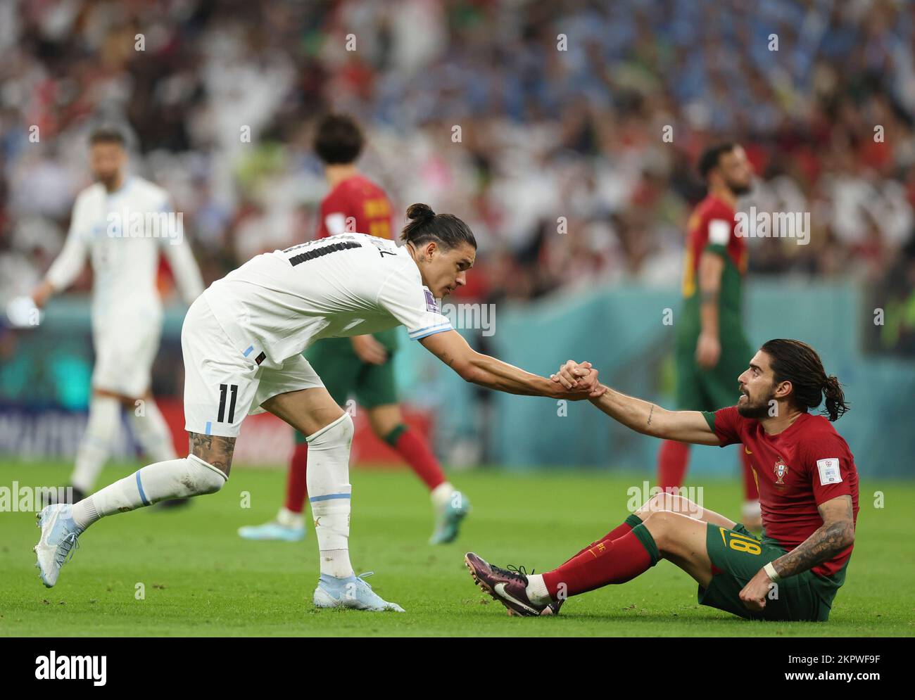 Lusail, Qatar. 28th Nov, 2022. Darwin Nunez (L) of Uruguay helps Ruben ...