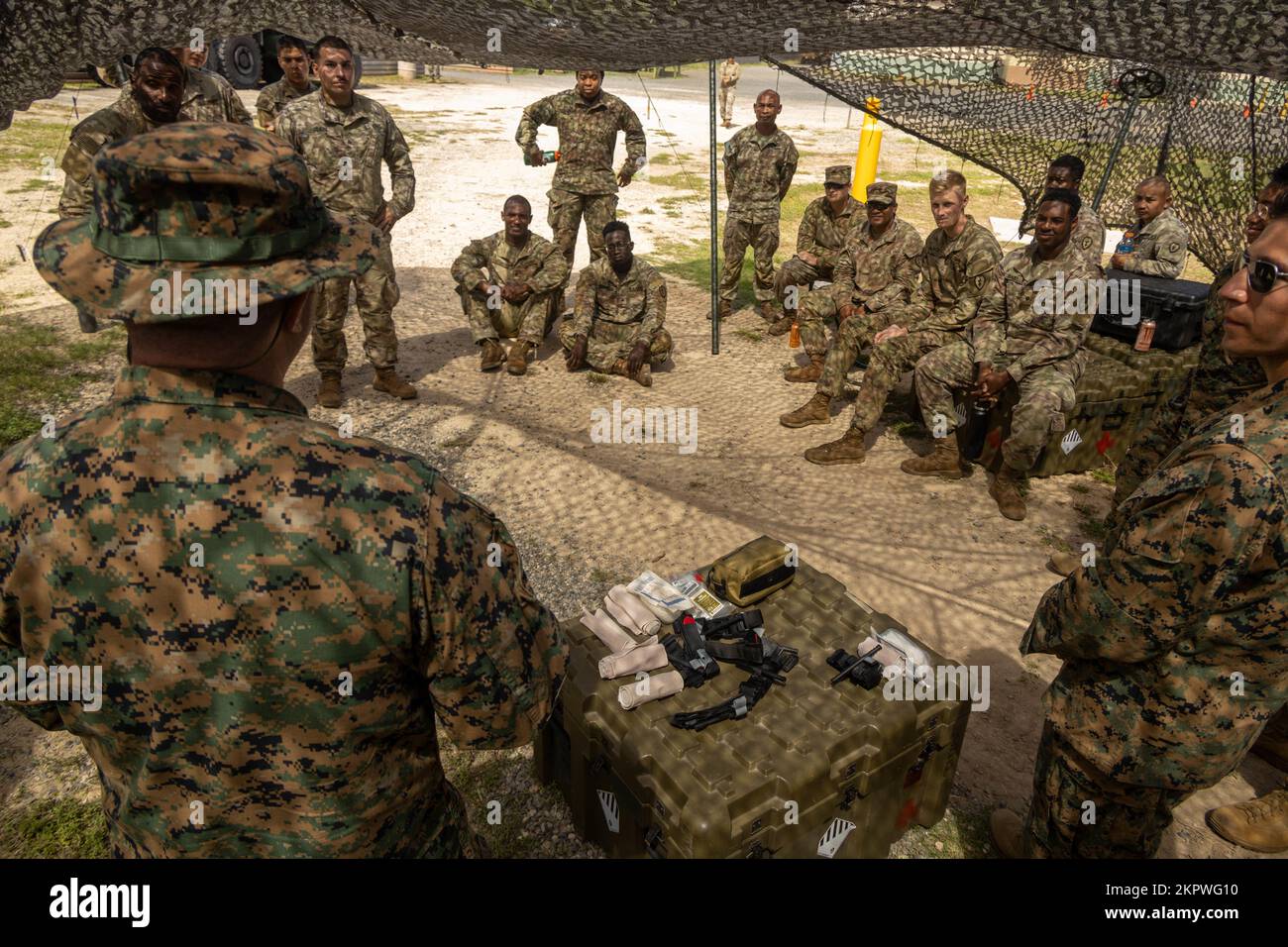 U.S. Navy Cdr. Christophe Helman, with 3d Medical Battalion, 3d Marine ...