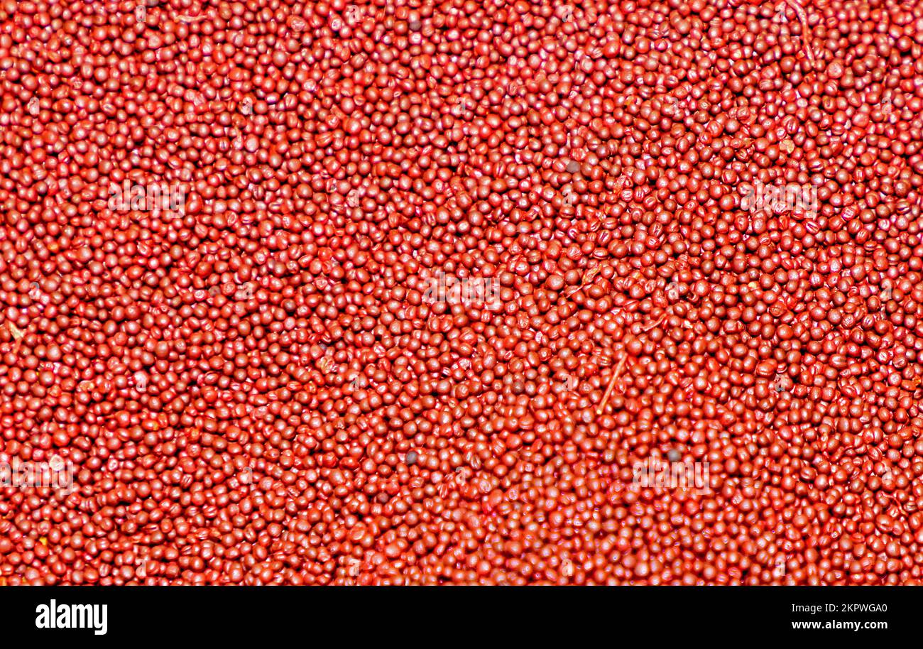 Organic red quinoa grains food textured pattern background Stock Photo ...