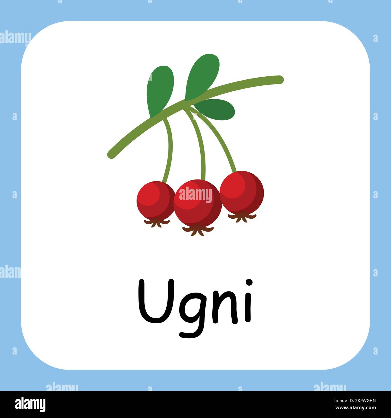 Ugni Clip Art, Illustration for Kids, cartoon fruit illustration Stock ...