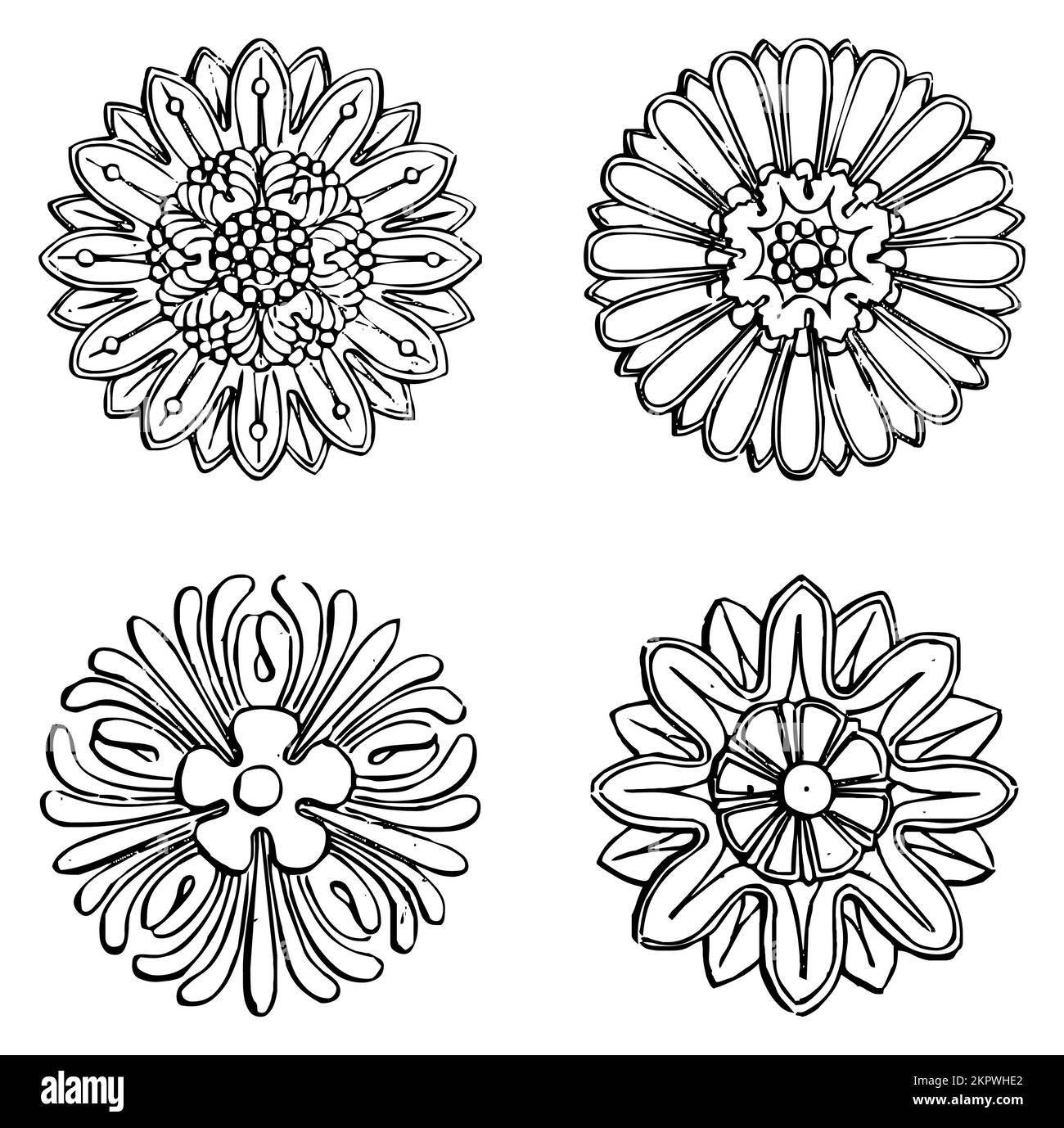 Black And White Doodle Floral Ornaments. Coloring Book Design Vector ...