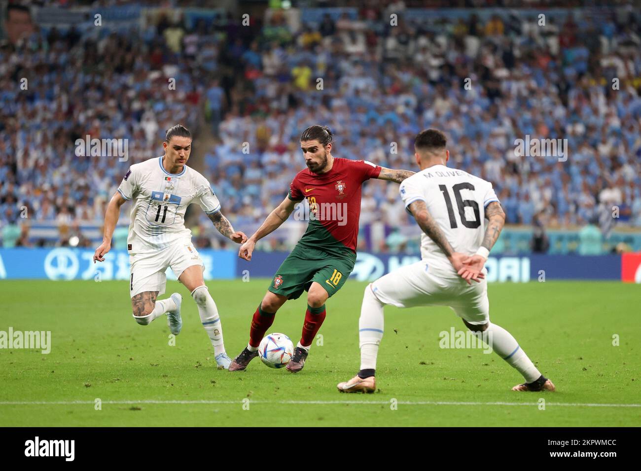 November 28, 2022: LUSAJL 28.11.2022.MISTRZOSTWA SWIATA W PILCE NOZNEJ ...