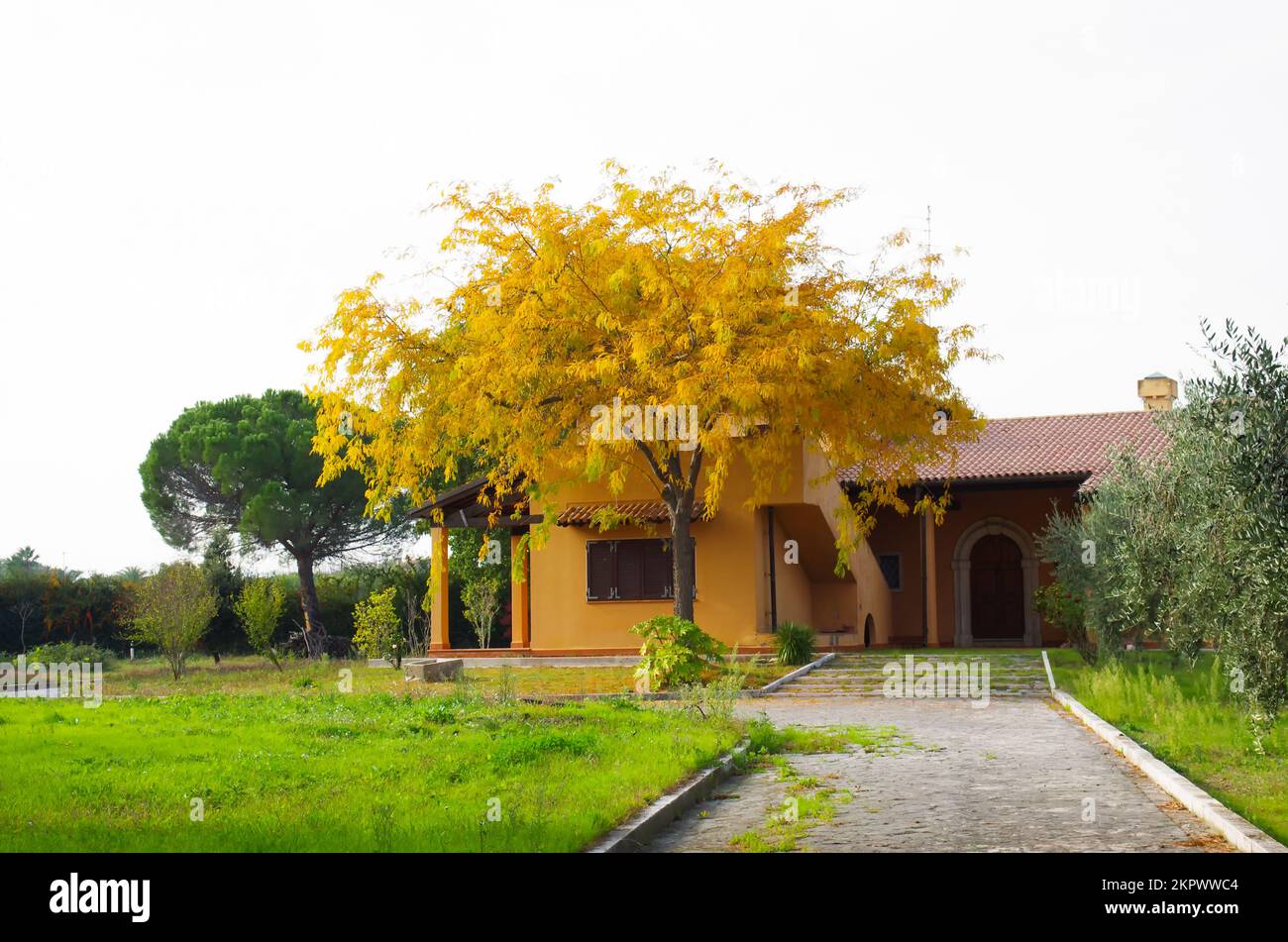 Country house in autumn with yellow tree foliage Stock Photo - Alamy