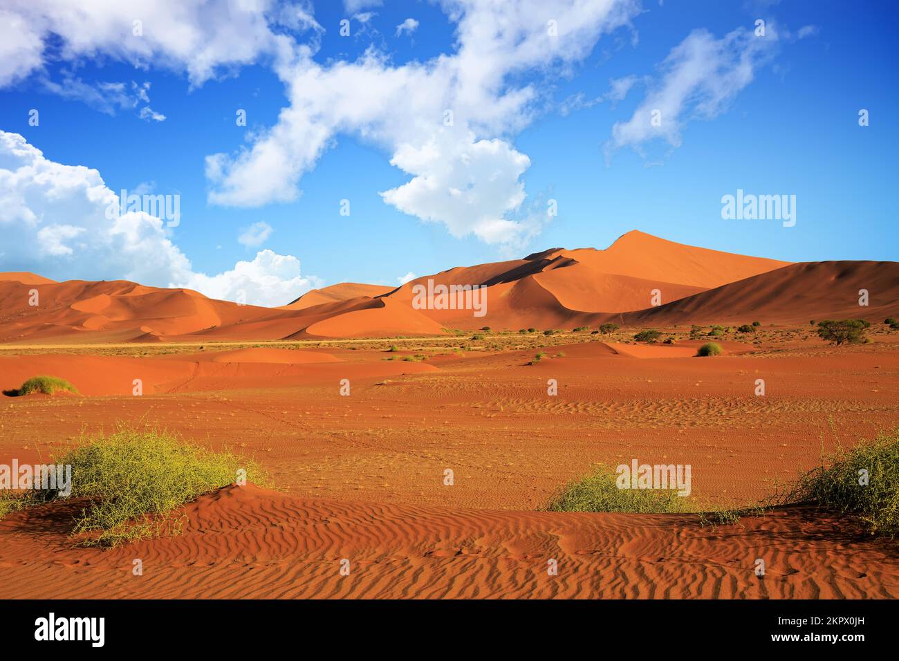 Beautiful sweeping landscape of Sossusvlei in Namib Desert, with wind ...