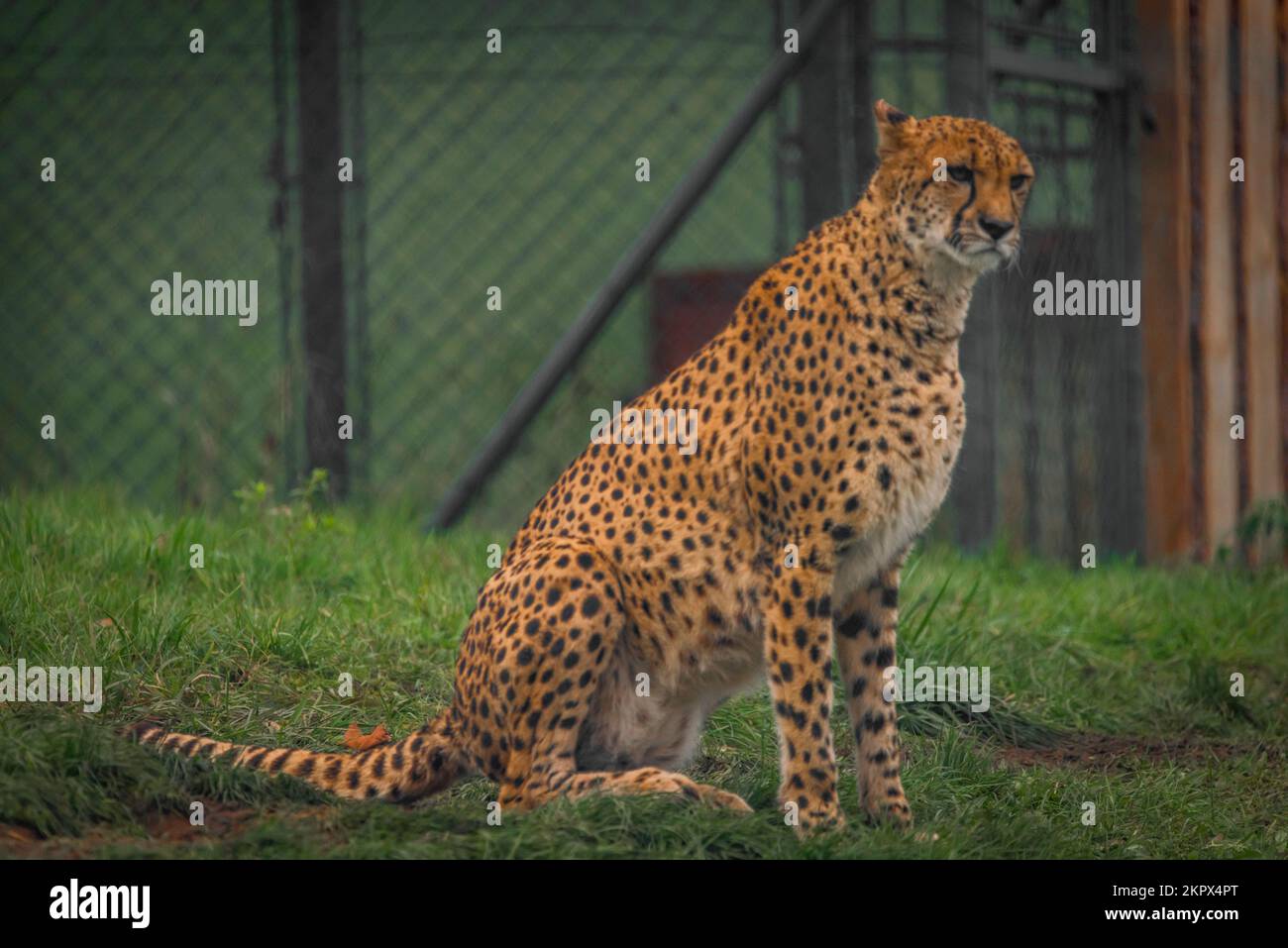 Nca background hi-res stock photography and images - Alamy