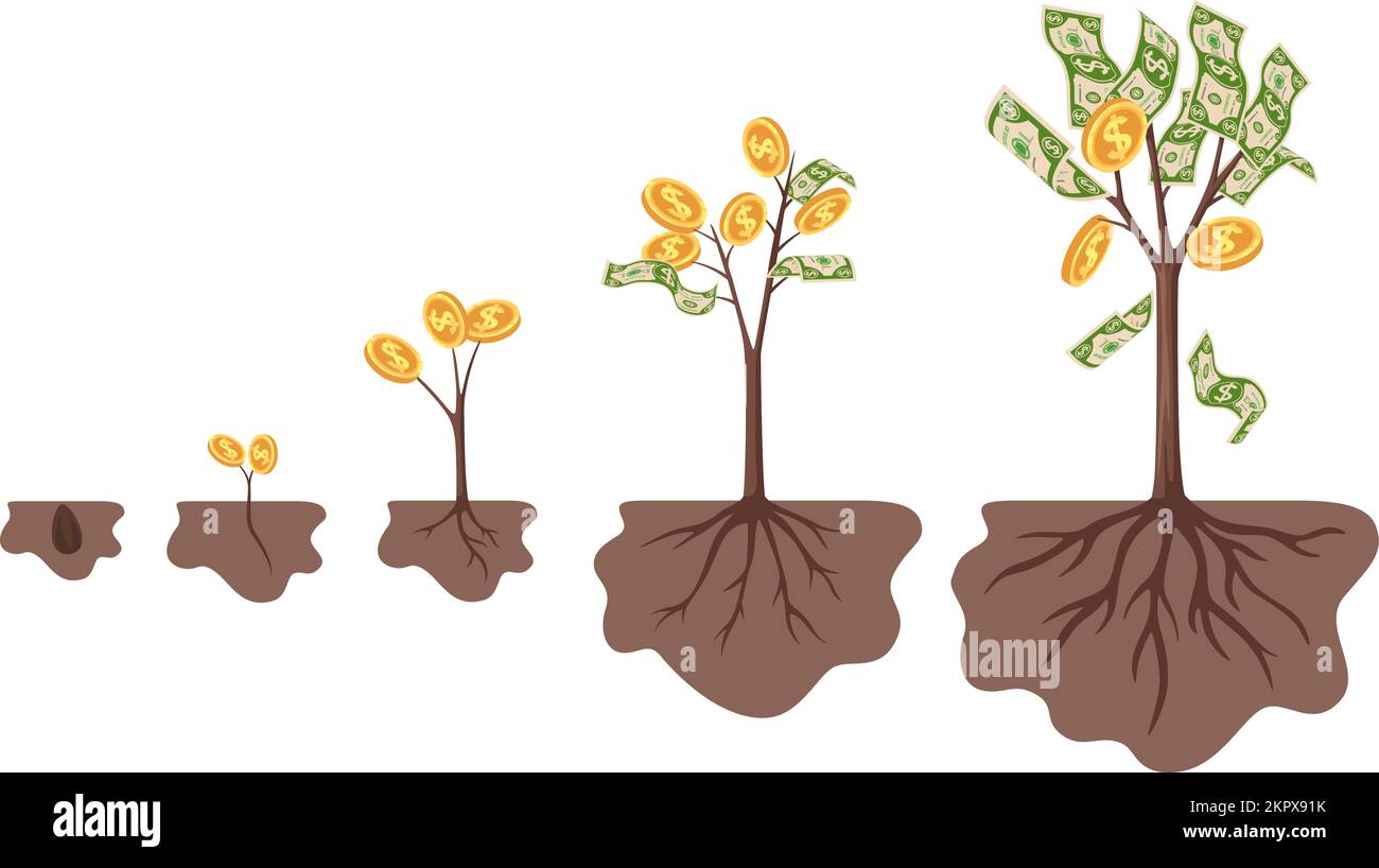 Money tree growth from seed to big bush with golden coins and cash ...