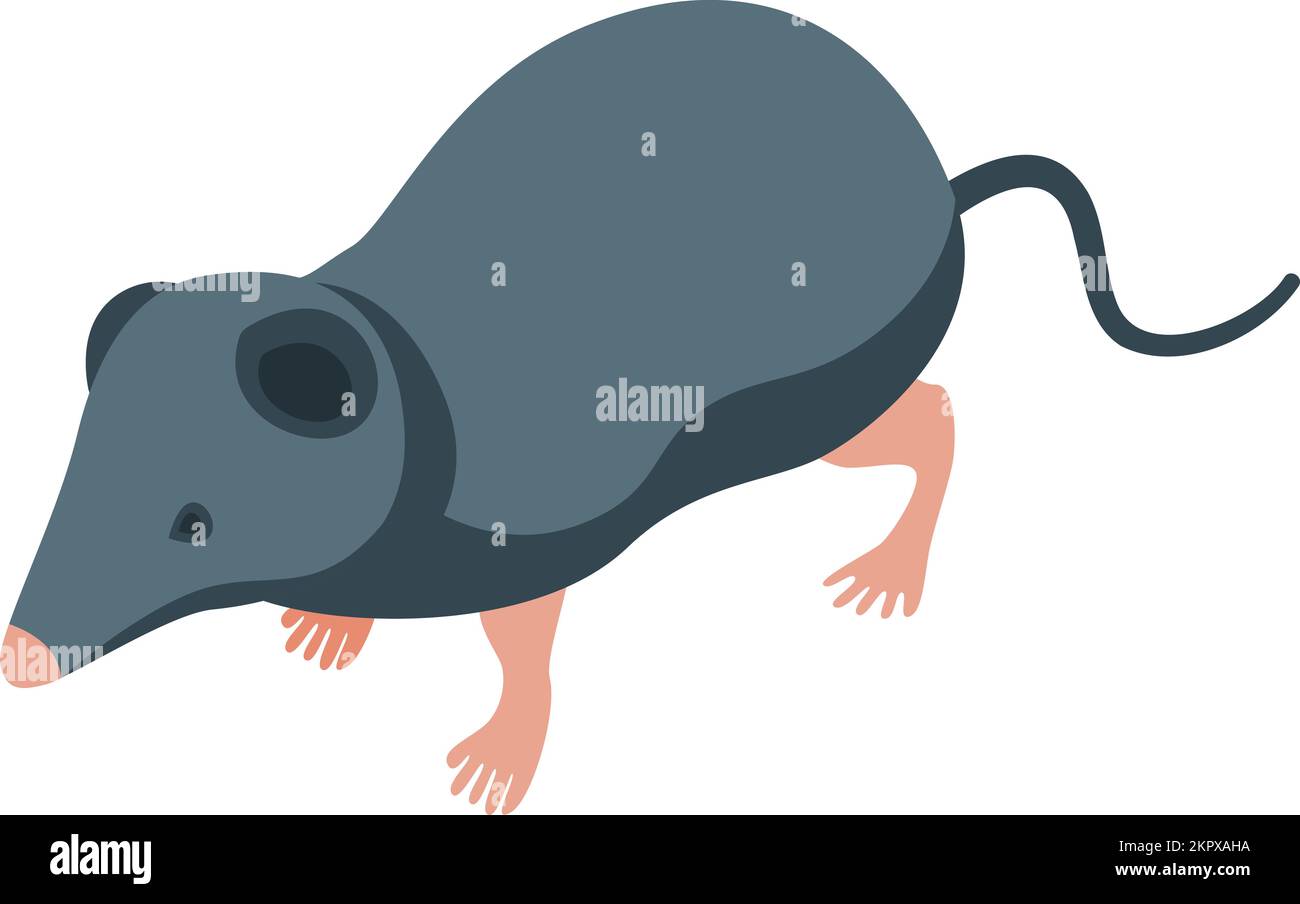 Cartoon Shrew Nature Shrew Cut Out Stock Images & Pictures Page 2