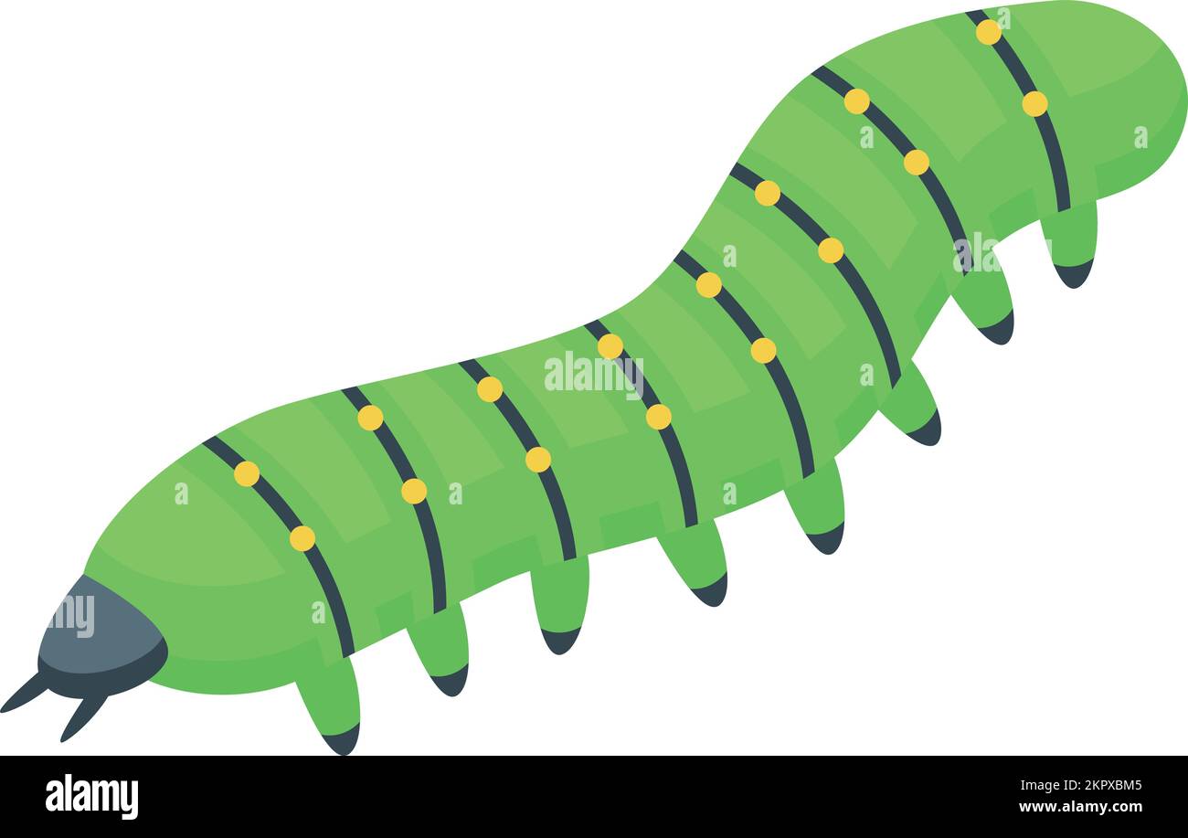 Caterpillar icon isometric vector. Worm larva. Cute insect Stock Vector ...