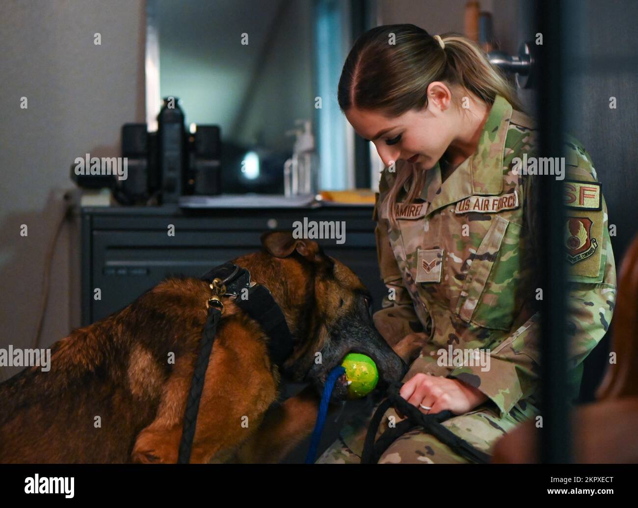 Military working dogs and their handlers from the 72nd Security Forces ...