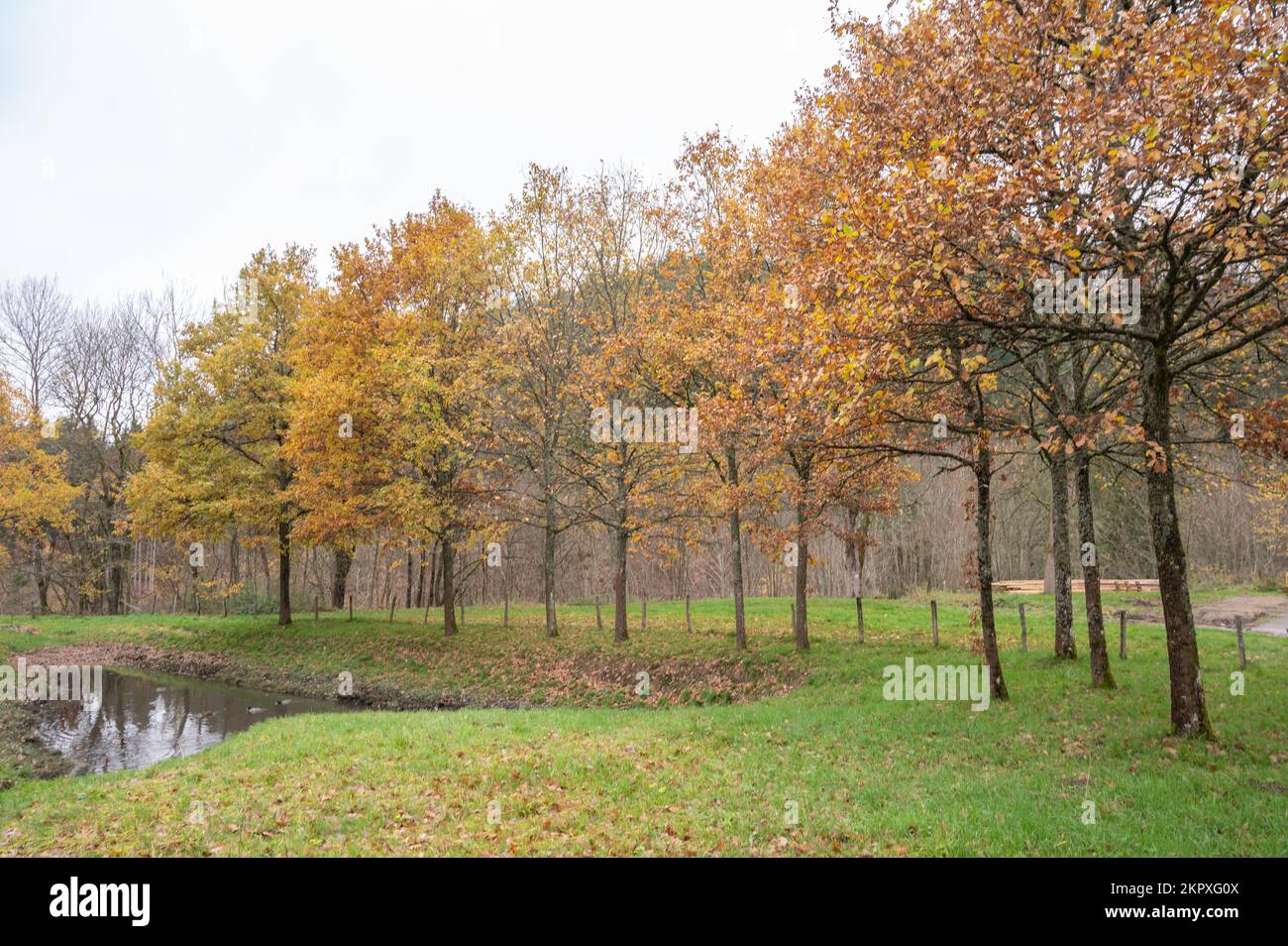 Beautiful landscape in north eifel hi-res stock photography and images ...