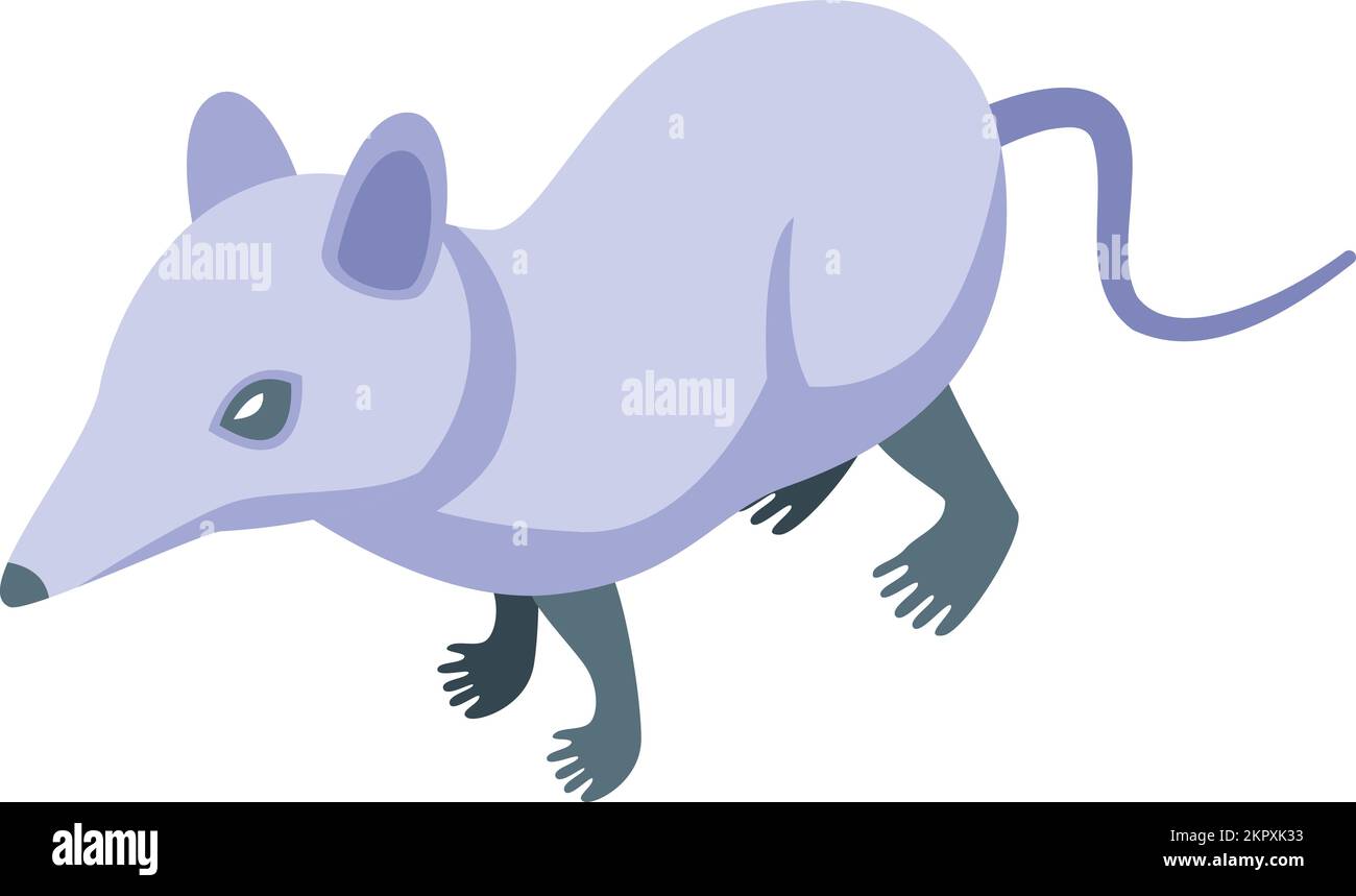 Common african rat Stock Vector Images - Alamy