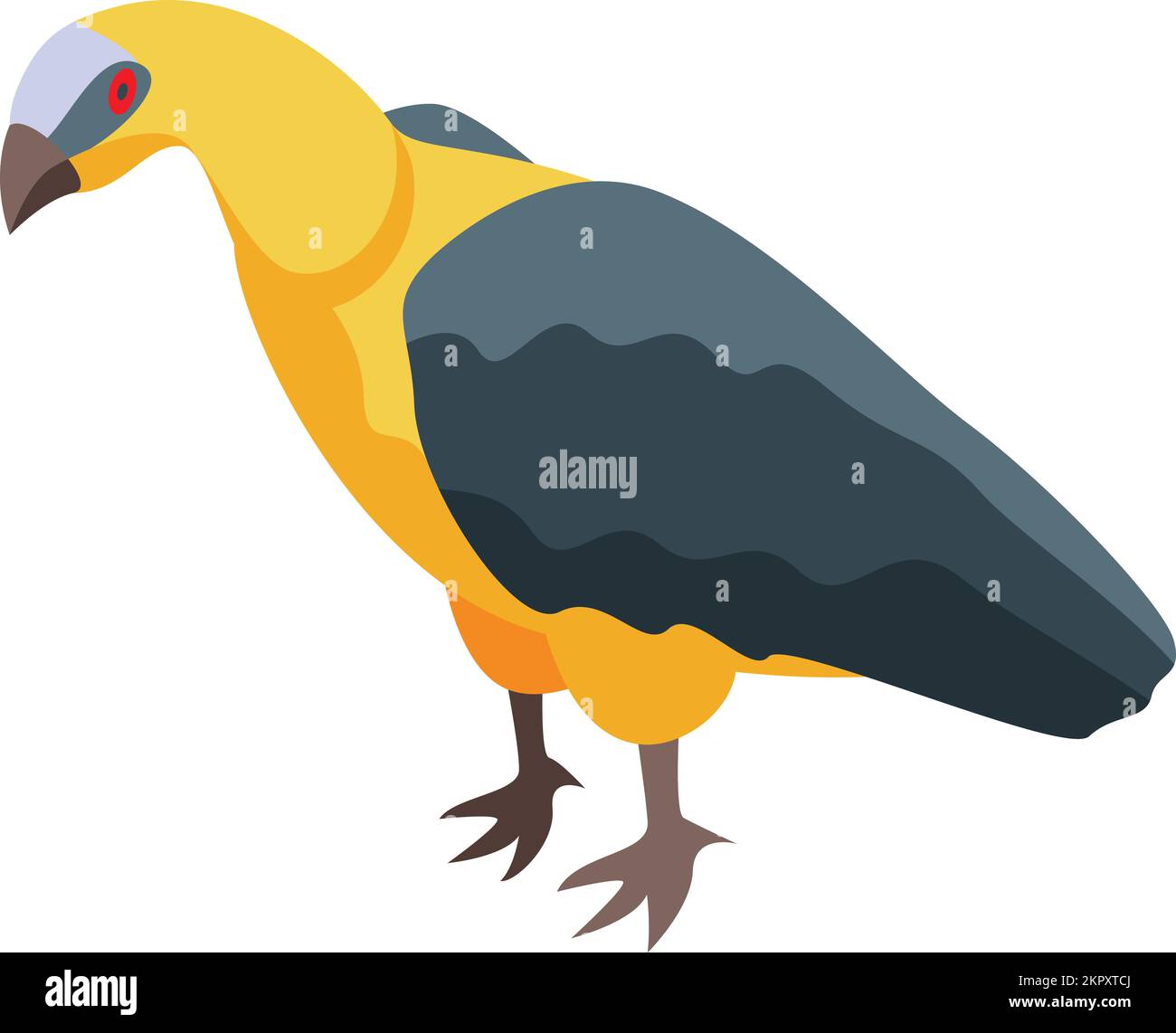 Buzzard feather Stock Vector Images - Alamy