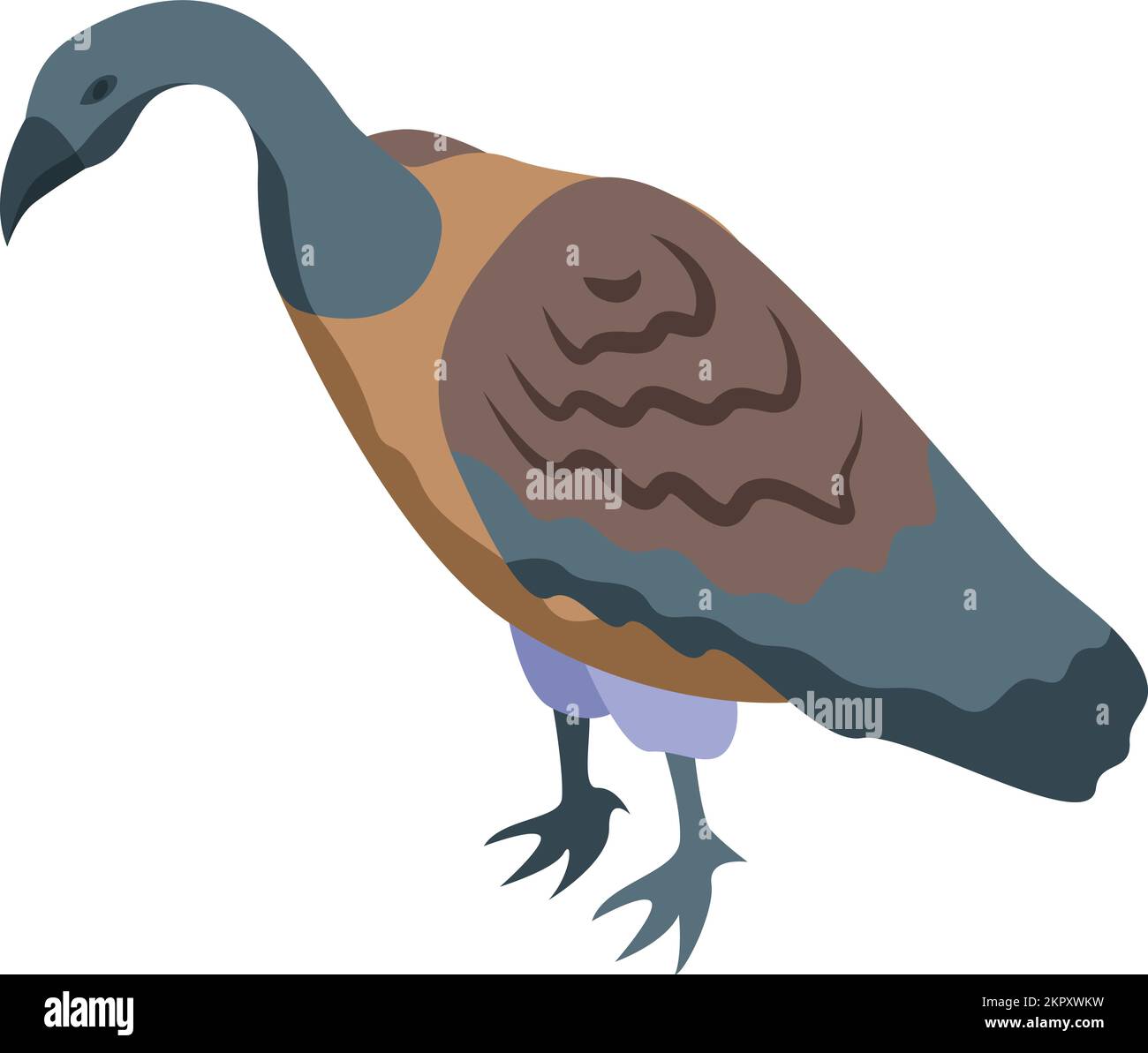 Zoo vulture icon isometric vector. Evil bird. Feather wings Stock ...