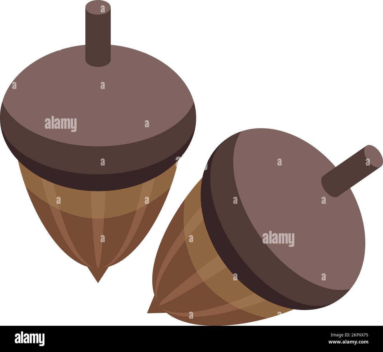 Hazel nuts tree Stock Vector Images - Alamy