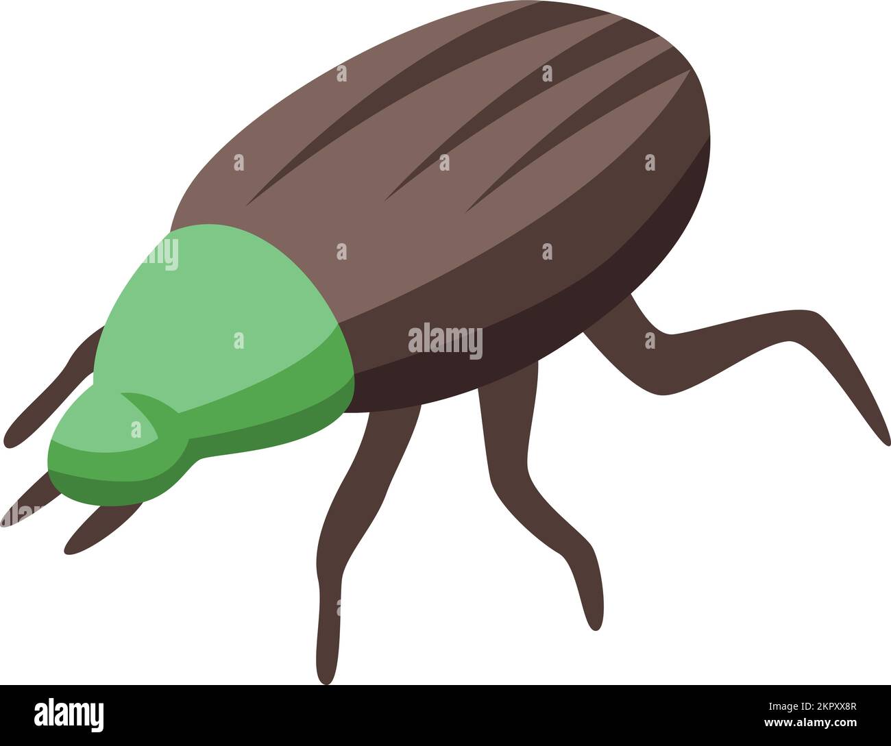 Field bug icon isometric vector. Field insect. Garden bug Stock Vector ...