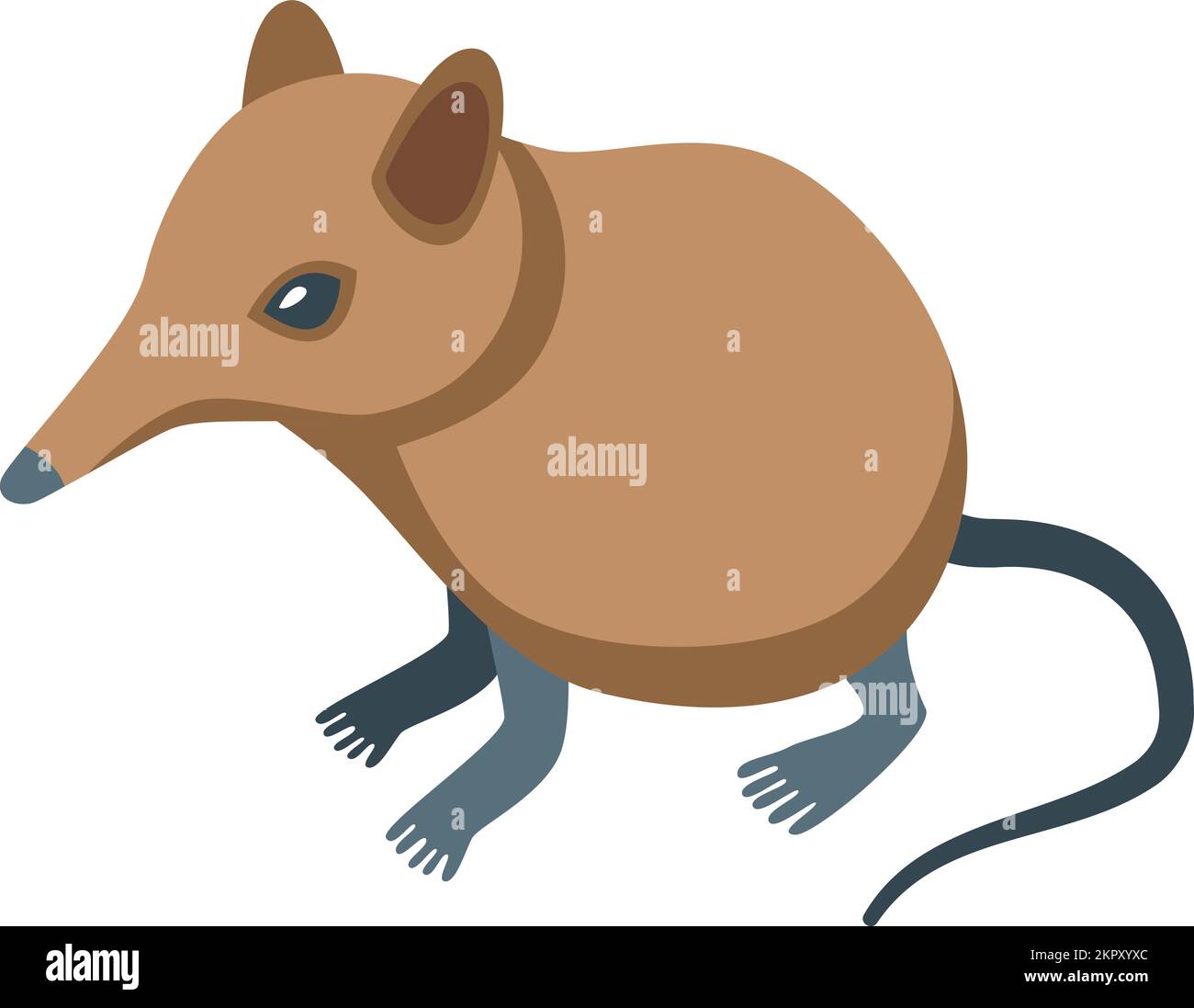 African mole rat Stock Vector Images - Alamy