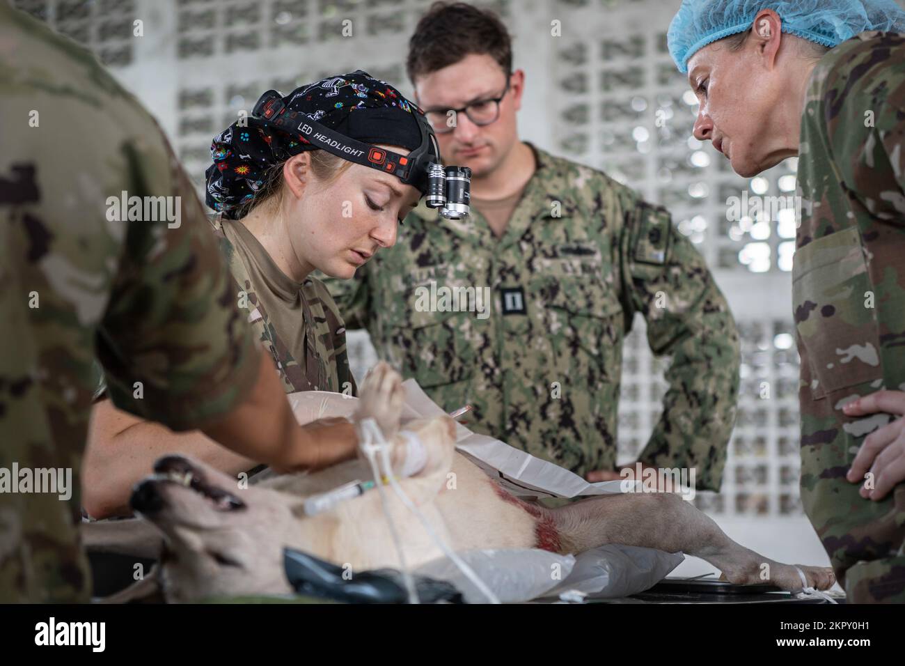 SAN PEDRO SULA, Honduras (Nov. 4, 2022)—U.S. Army Capt. Morgan Pate ...