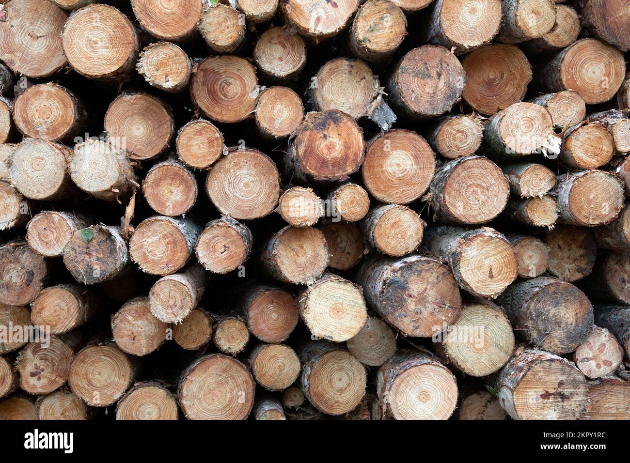 Log stack hi-res stock photography and images - Alamy