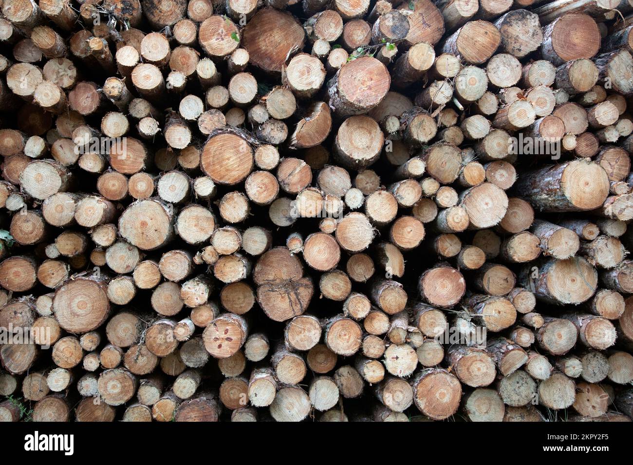 Stack of log hi-res stock photography and images - Alamy