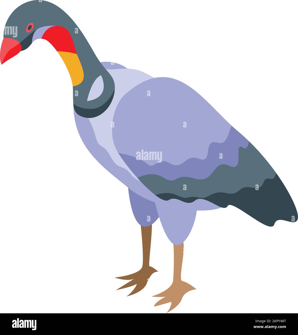 Predator bird icon isometric vector. Shape condor. Zoo griffin Stock ...