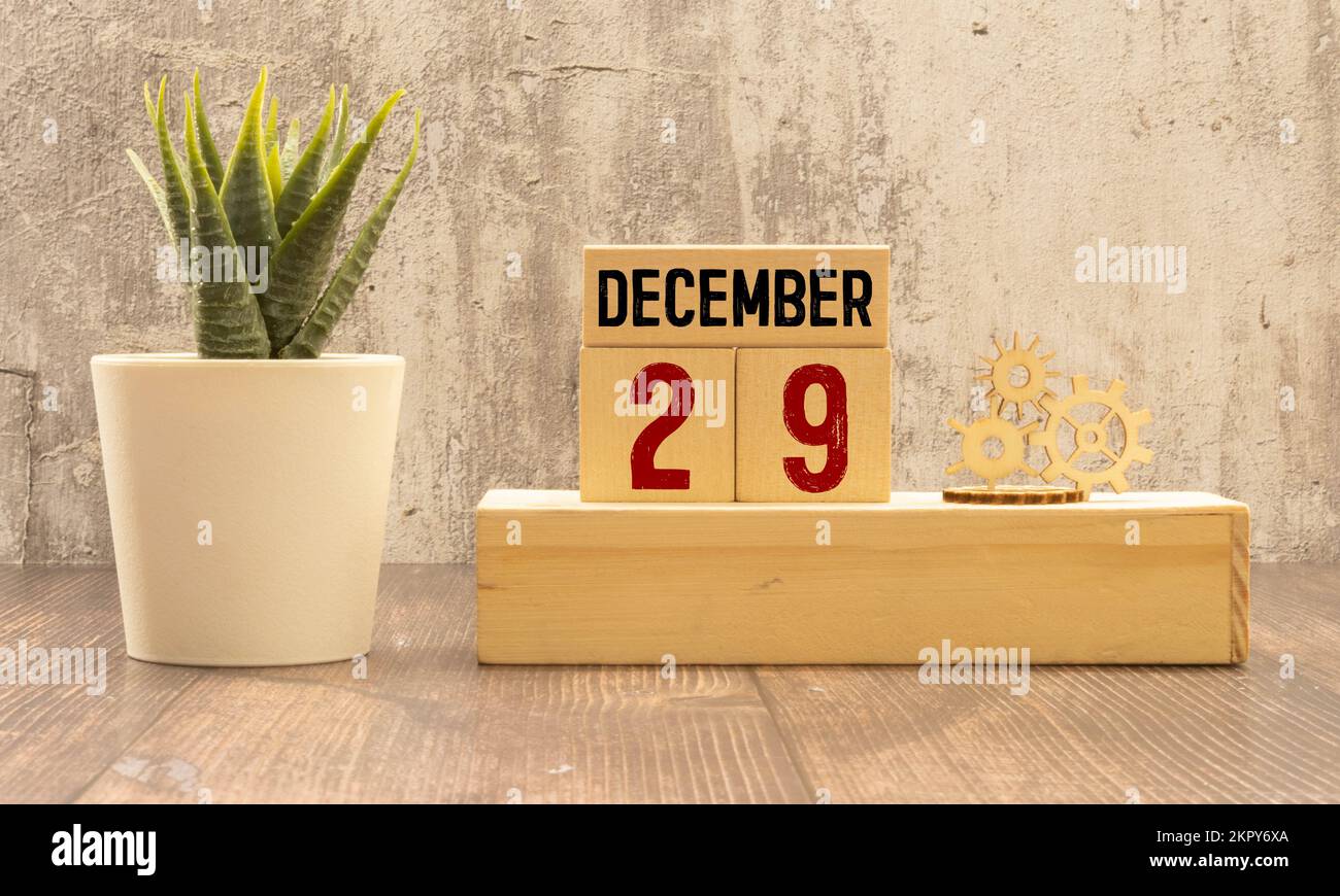December 29 text on wooden blocks with blurred nature background. Copy ...