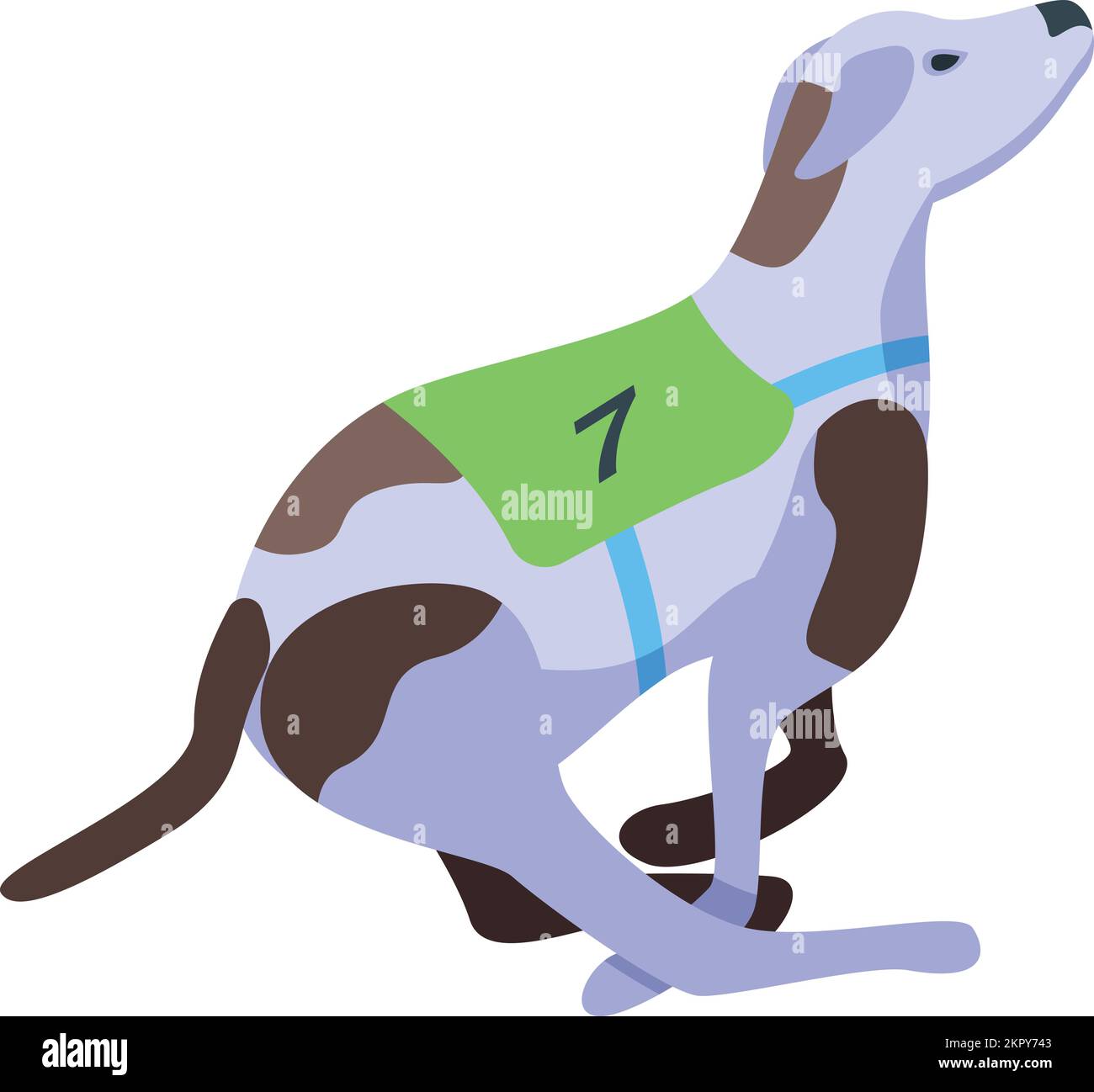 Race greyhound icon isometric vector. Animal pet. Canine racing Stock ...