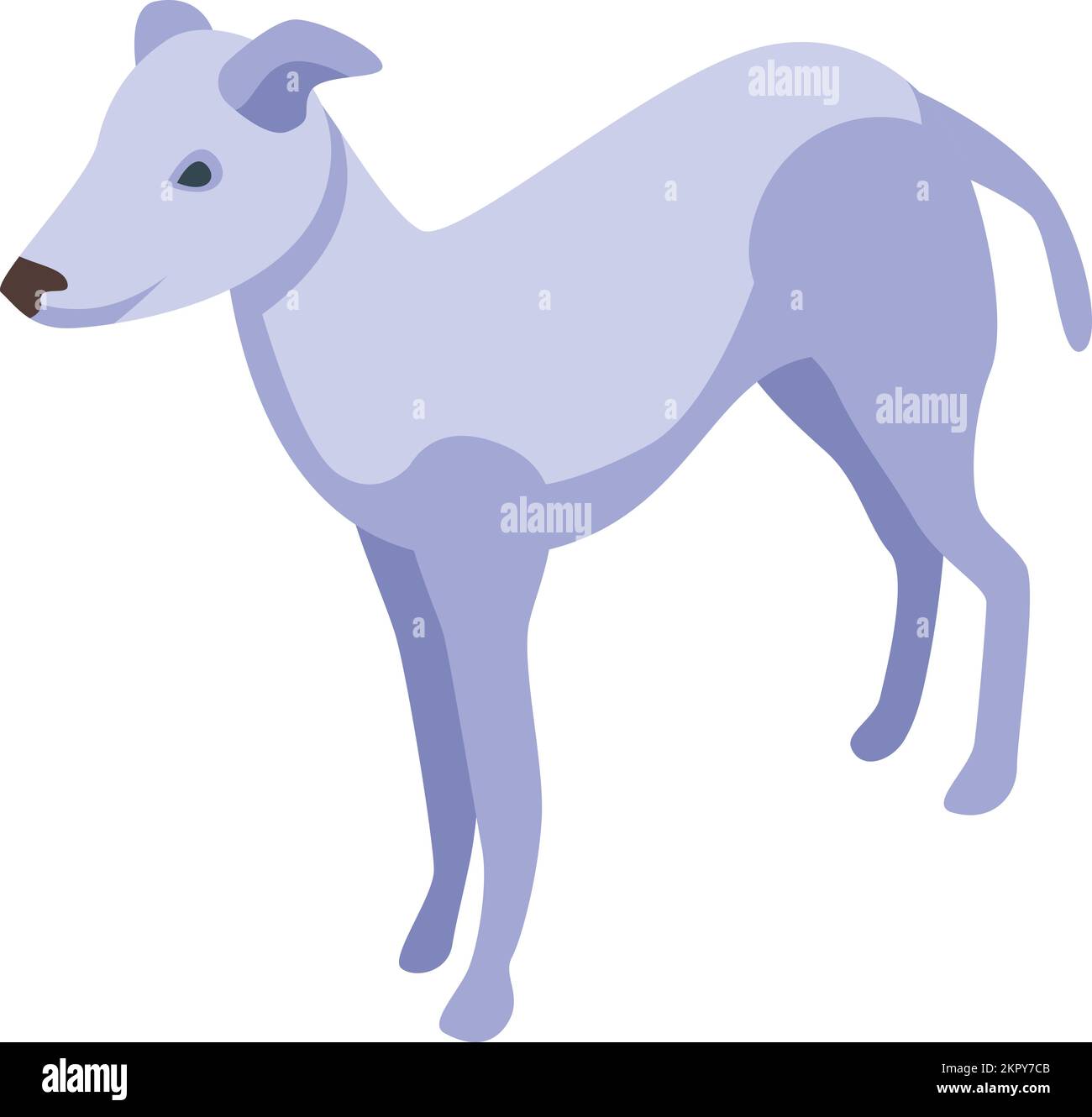 White greyhound icon isometric vector. Animal pet. Mammal canine Stock ...