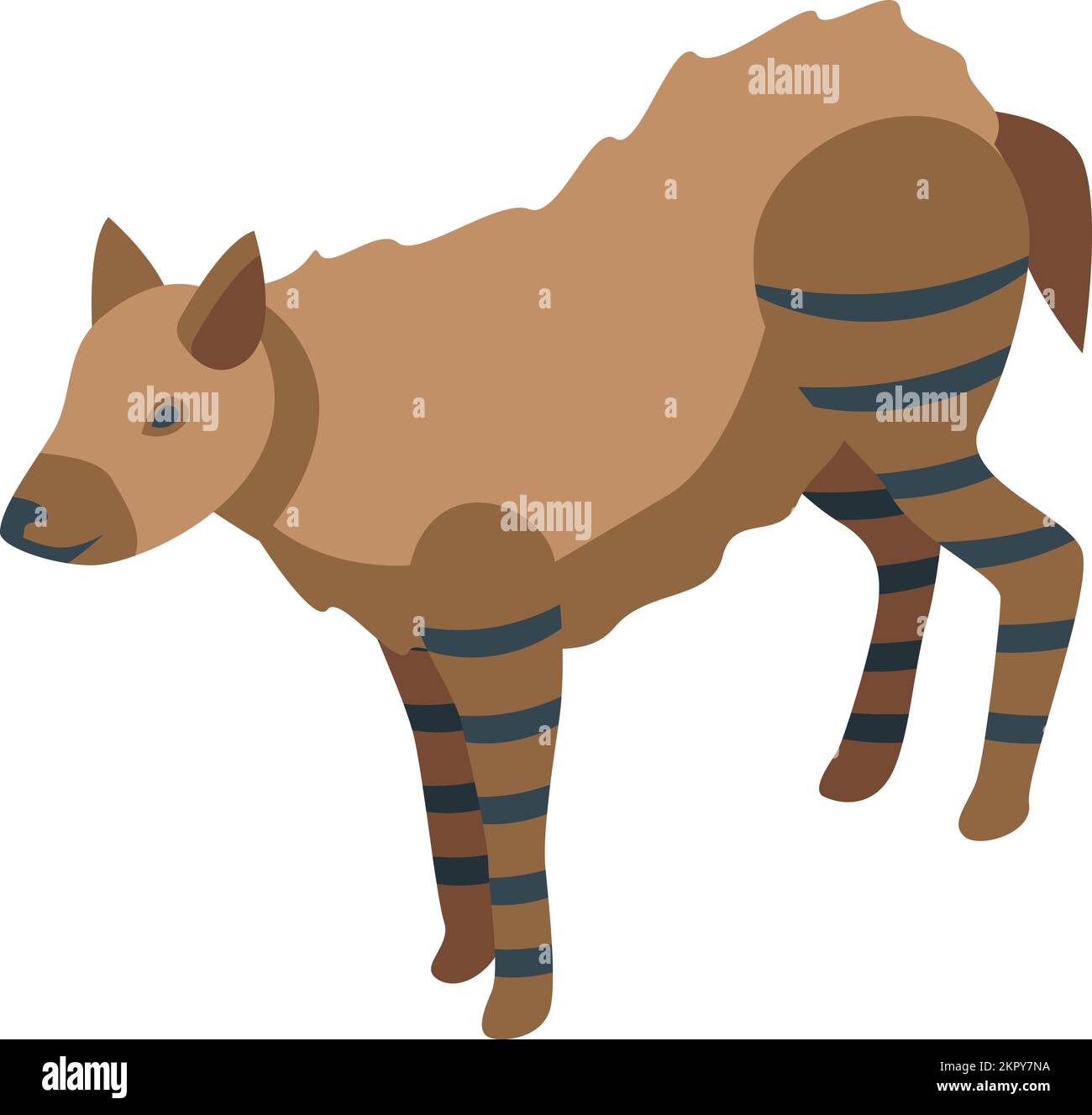 Baby hyena icon isometric vector. Wild animal. Asian park Stock Vector ...